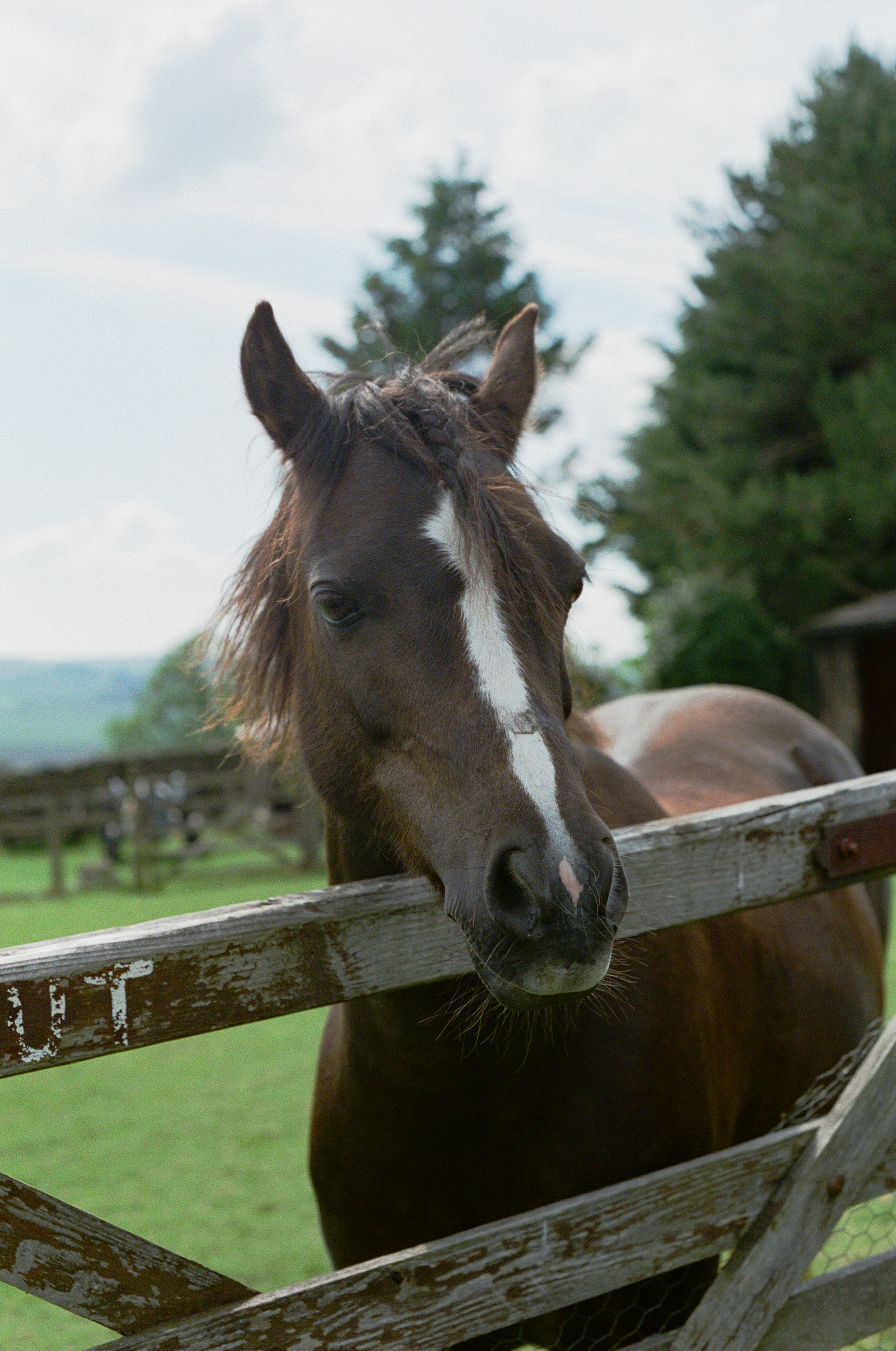 English Countryside Pictures | Download Free Images on Unsplash