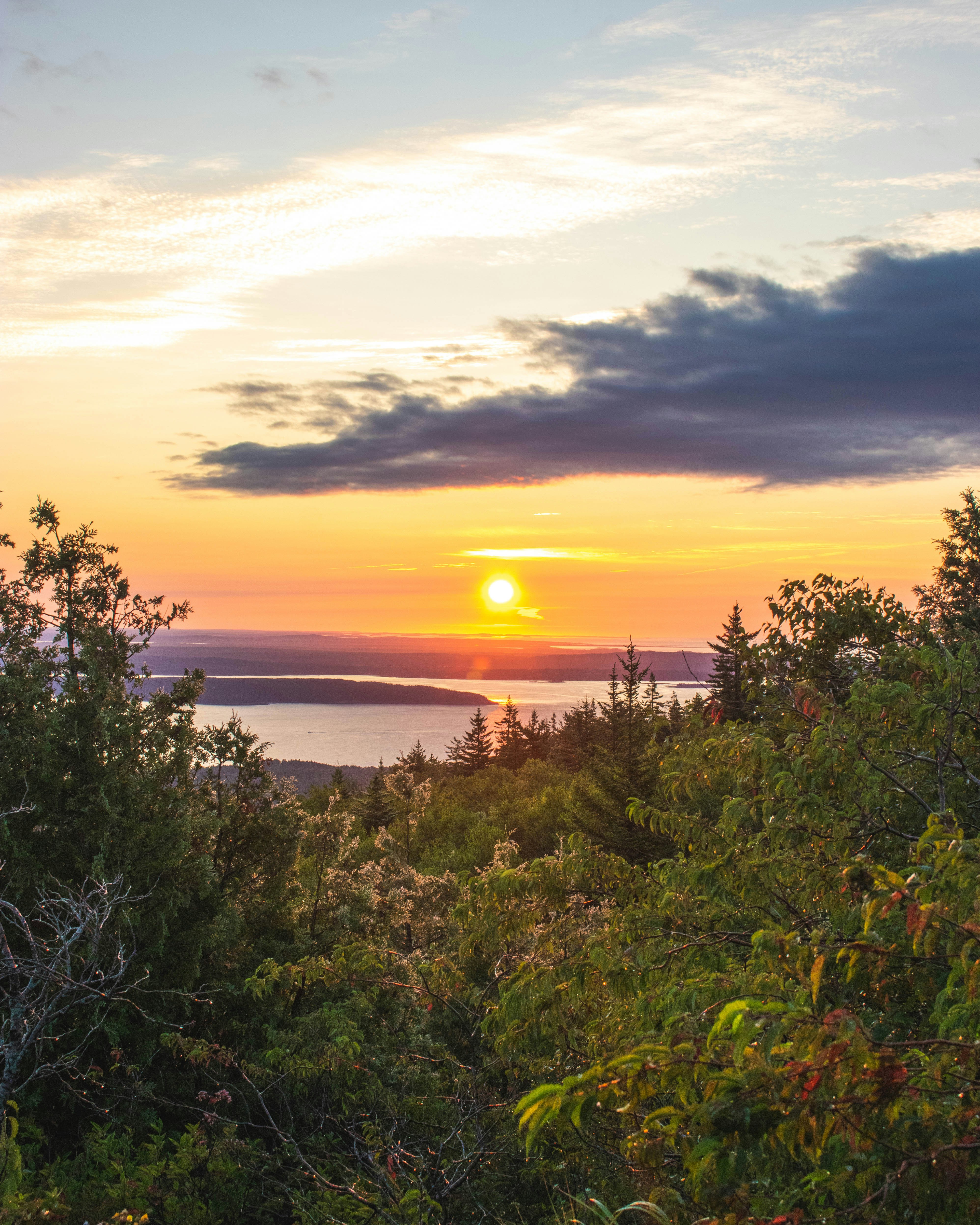 Jack Ward (@jackward) | Unsplash Photo Community