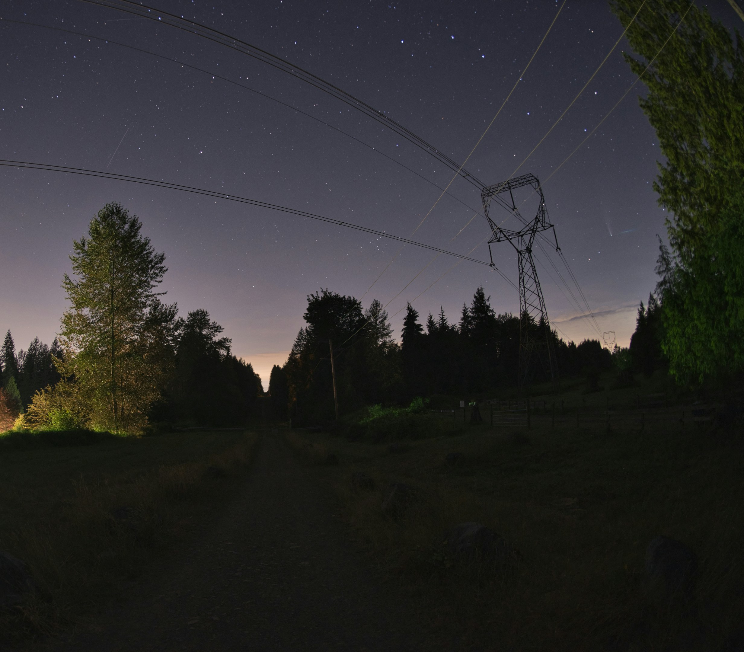 Under the Night Arc: Power Lines Draped Across a Quiet Forest Road