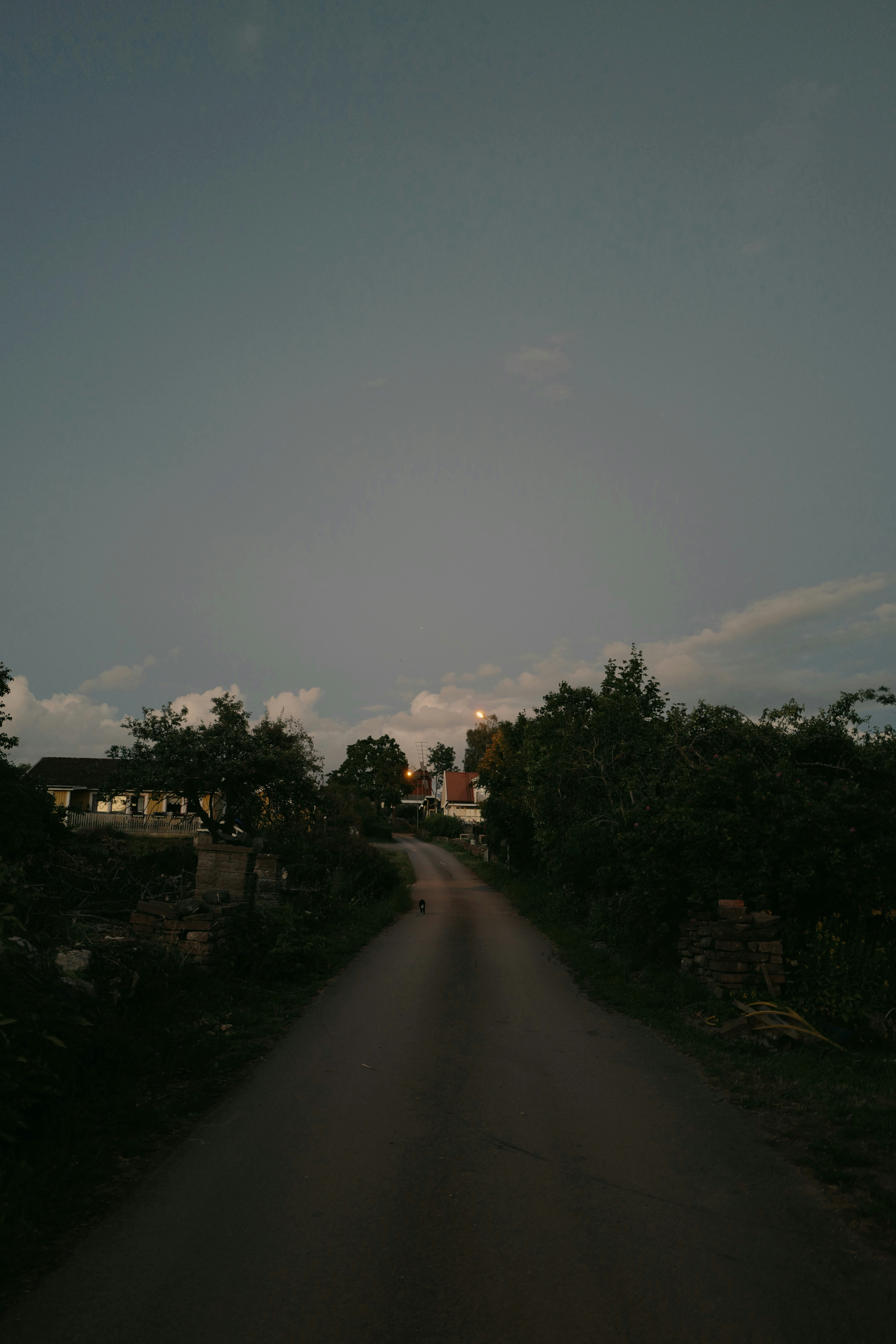 Twilight Pathway Through Quiet Countryside