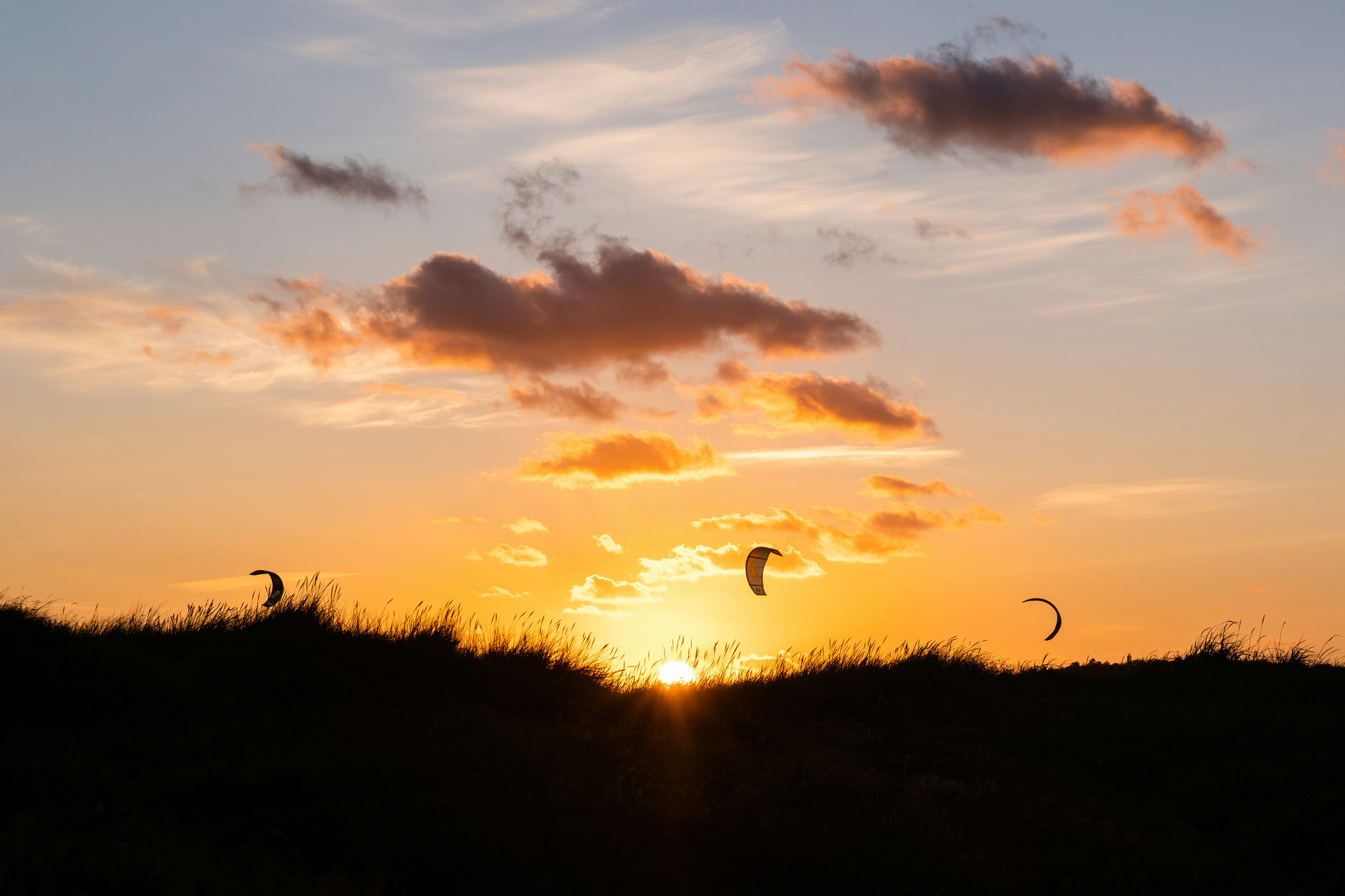Sunset Kite Silhouettes Over Dune Line