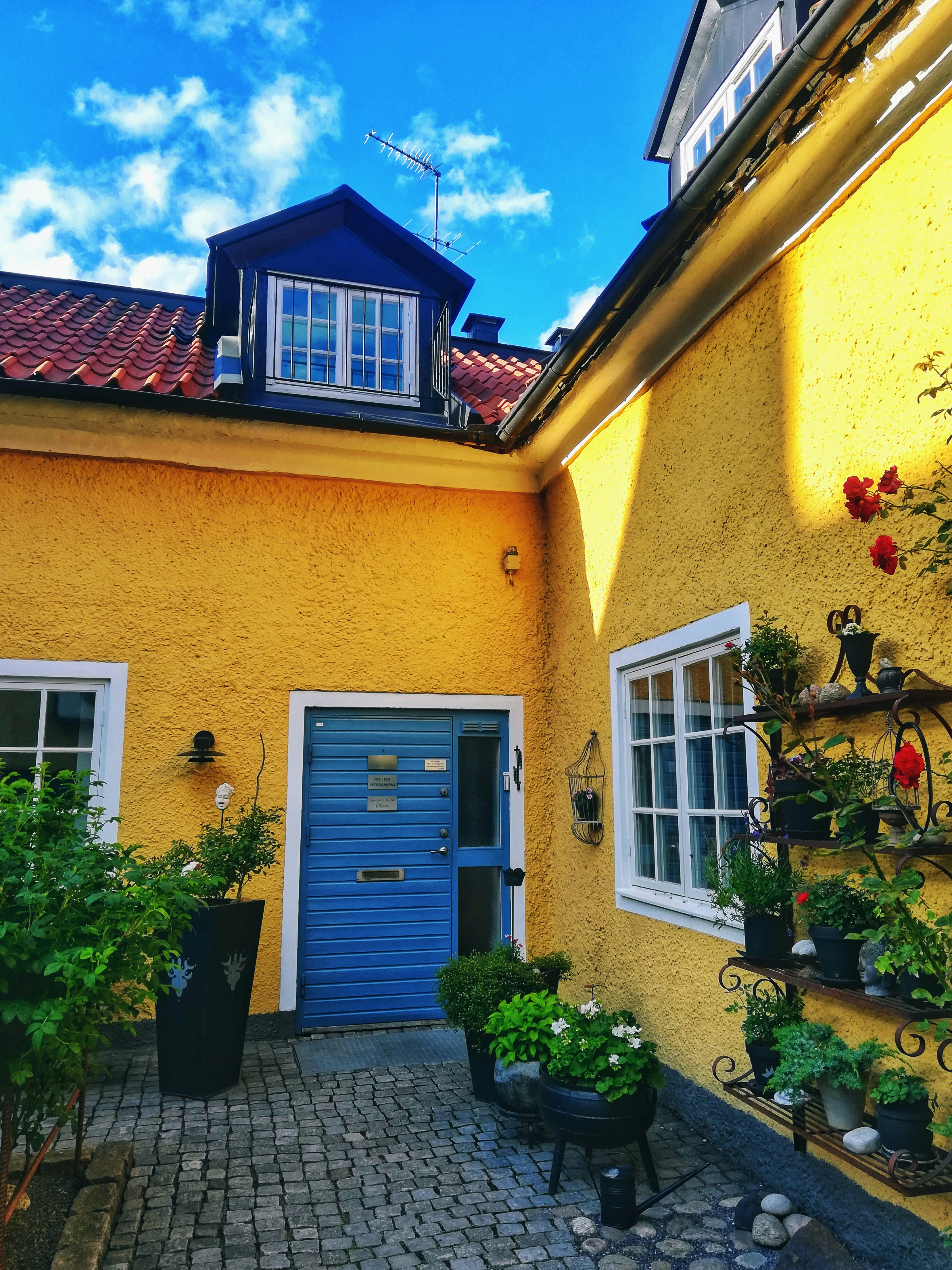 Vibrant yellow wall of a quaint courtyard adorned with potted plants and a blue door, framed by a clear blue sky.