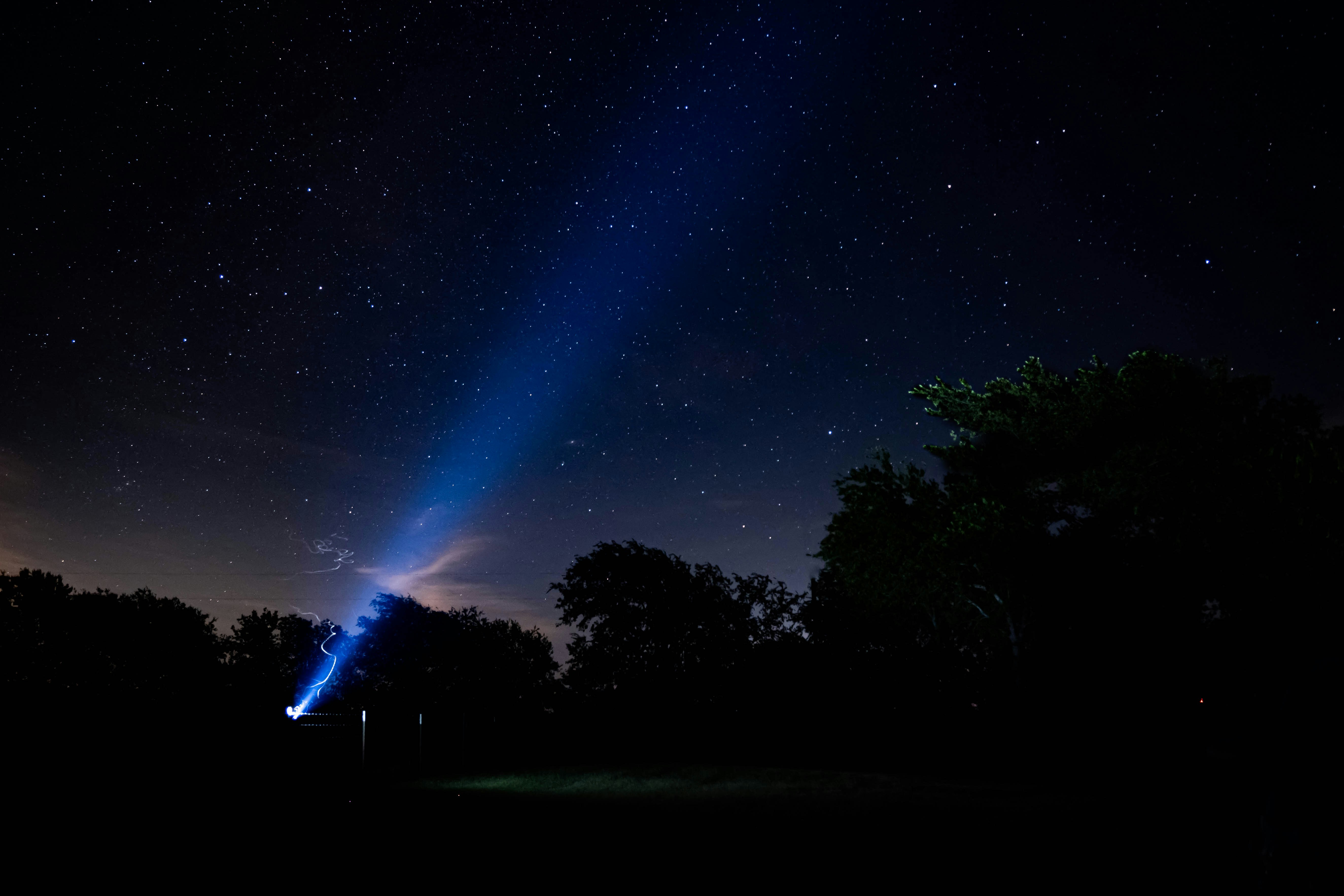 green trees under blue sky with stars during night time