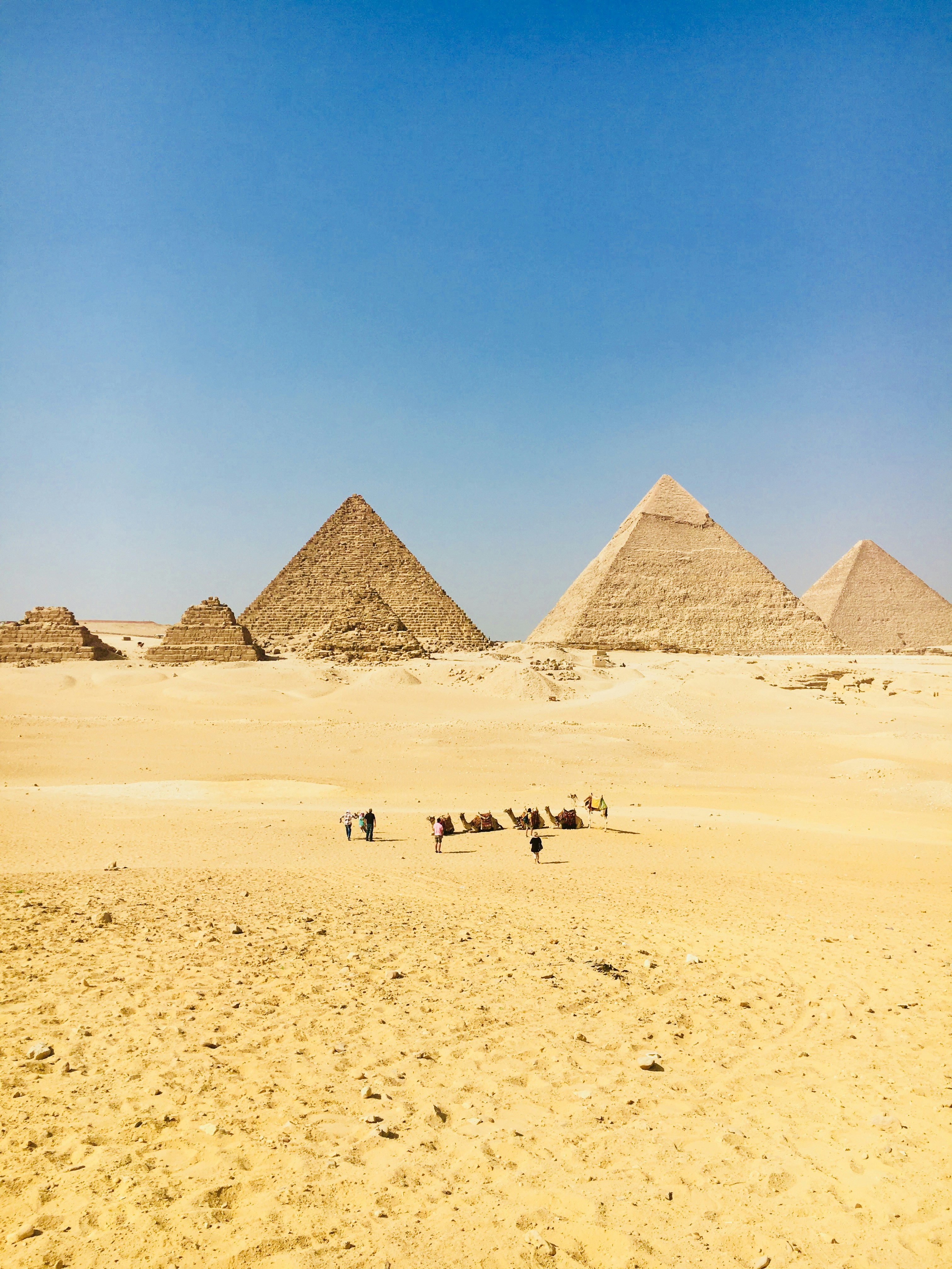 30 Fascinating Facts about Africa - Discover Walks Blog