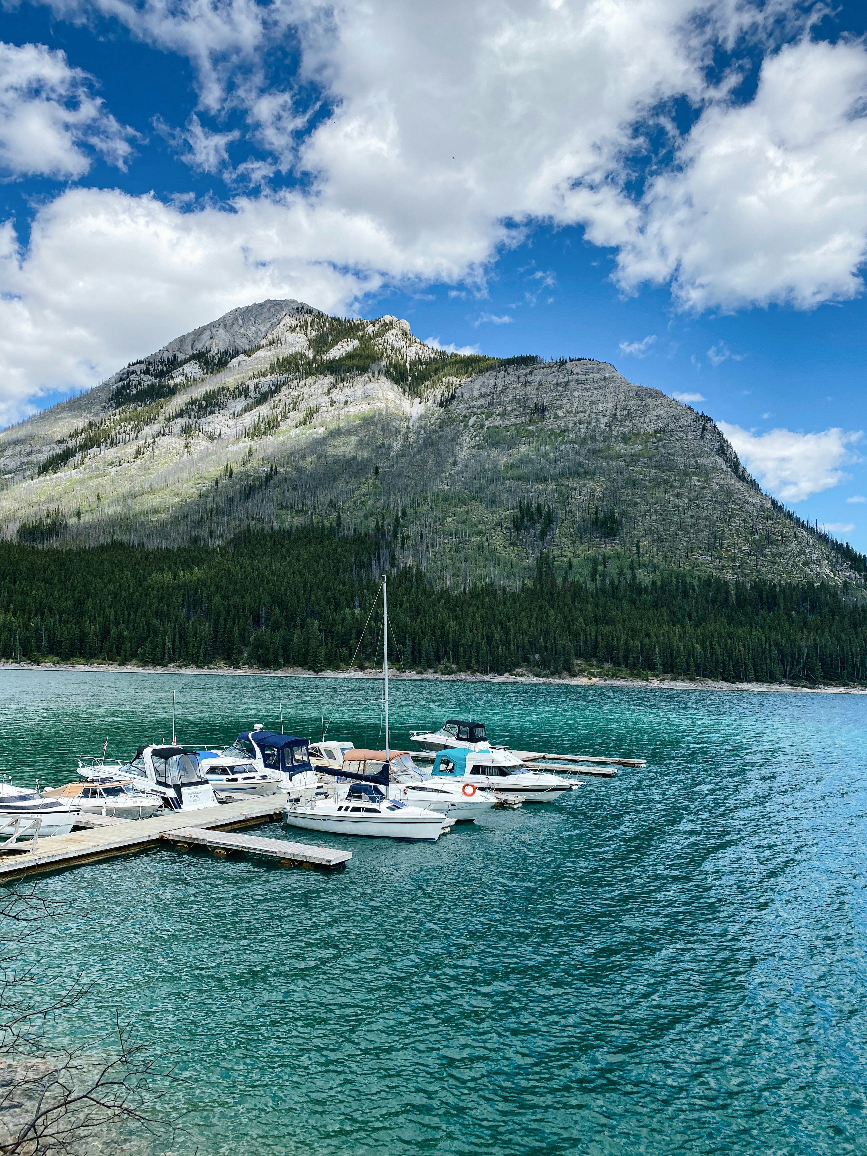 Marina at the Foot of a Pine-Swept Peak