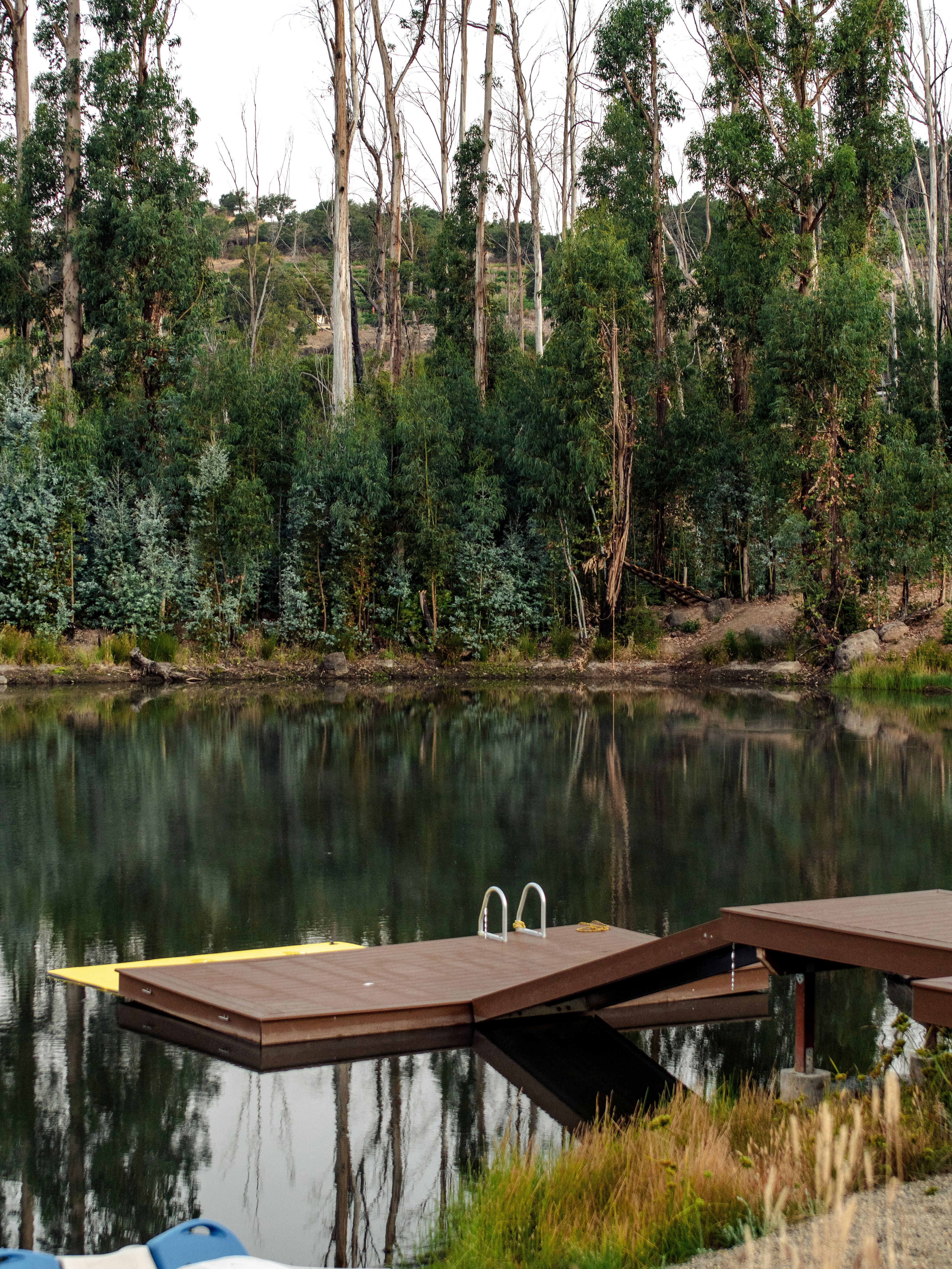 Wooden dock extending over calm waters, surrounded by lush greenery and tall trees. The tranquil scene invites relaxation.
