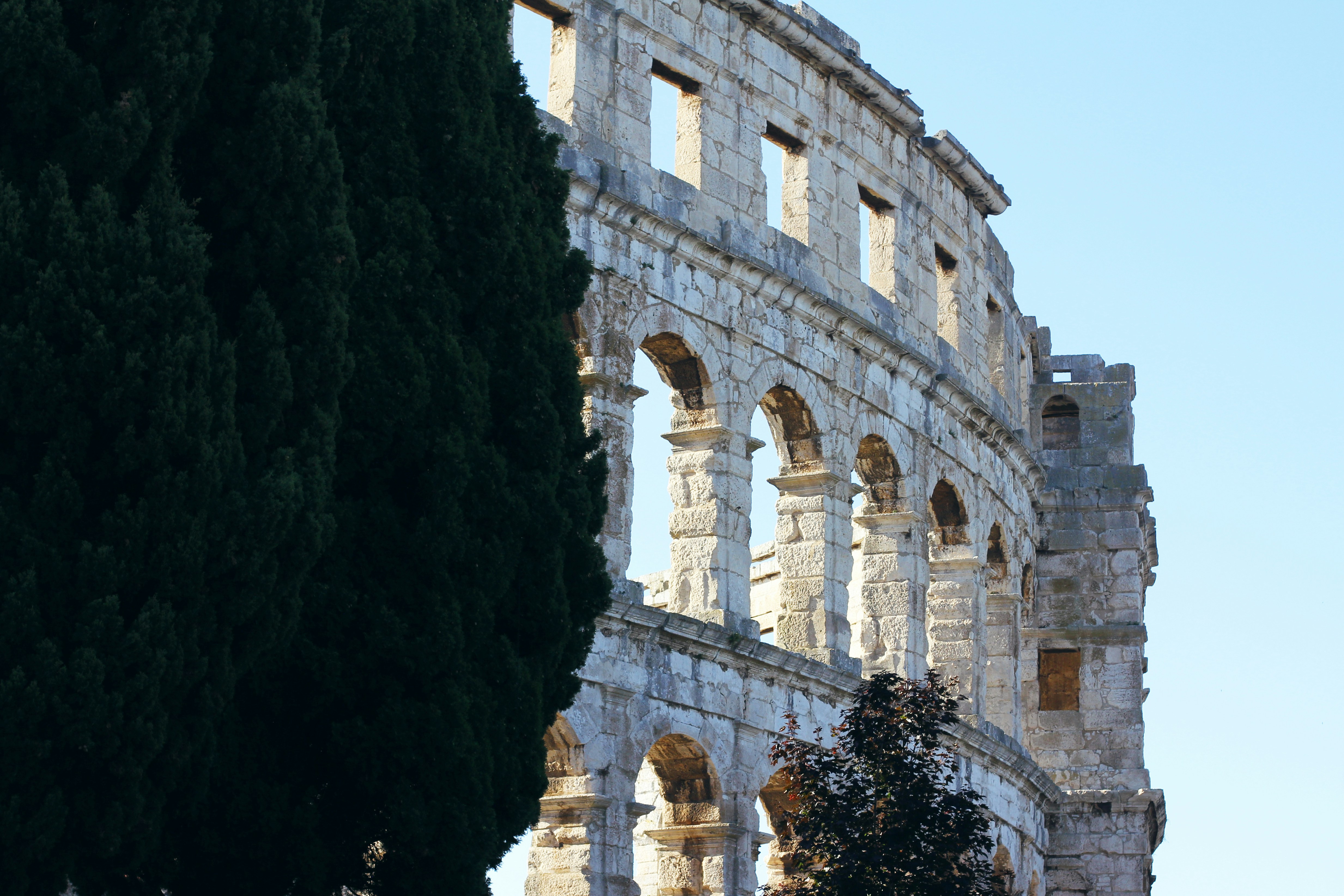 Timeless Shadows of the Colosseum