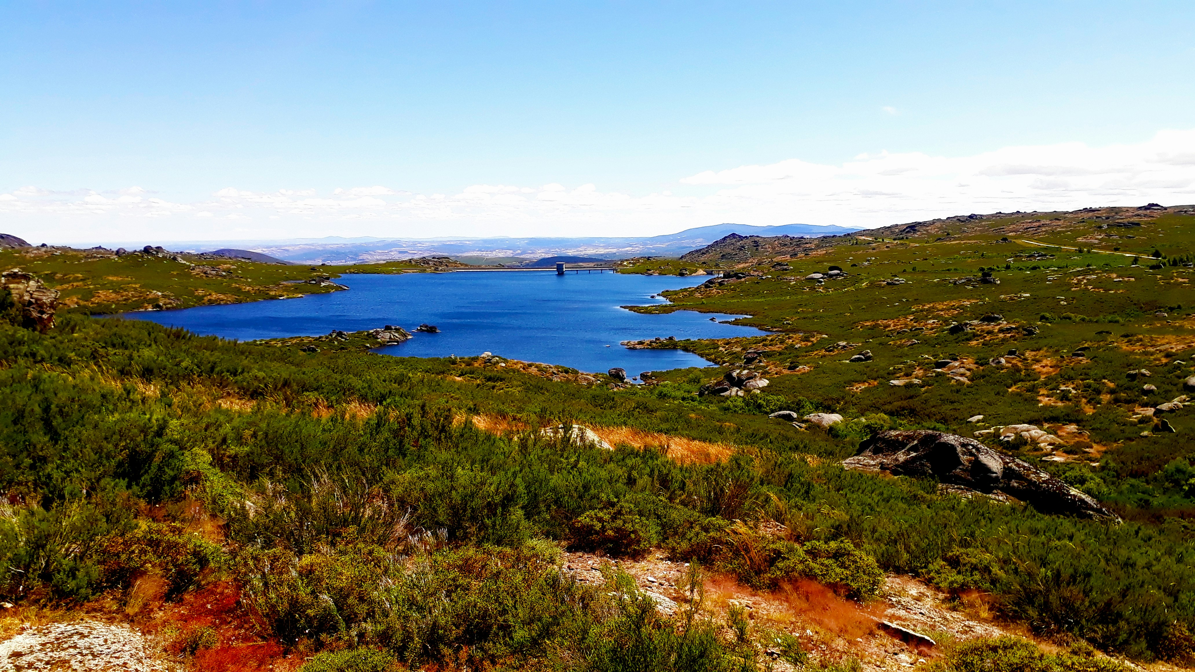 Expansive green field with a clear blue lake under a bright sky.