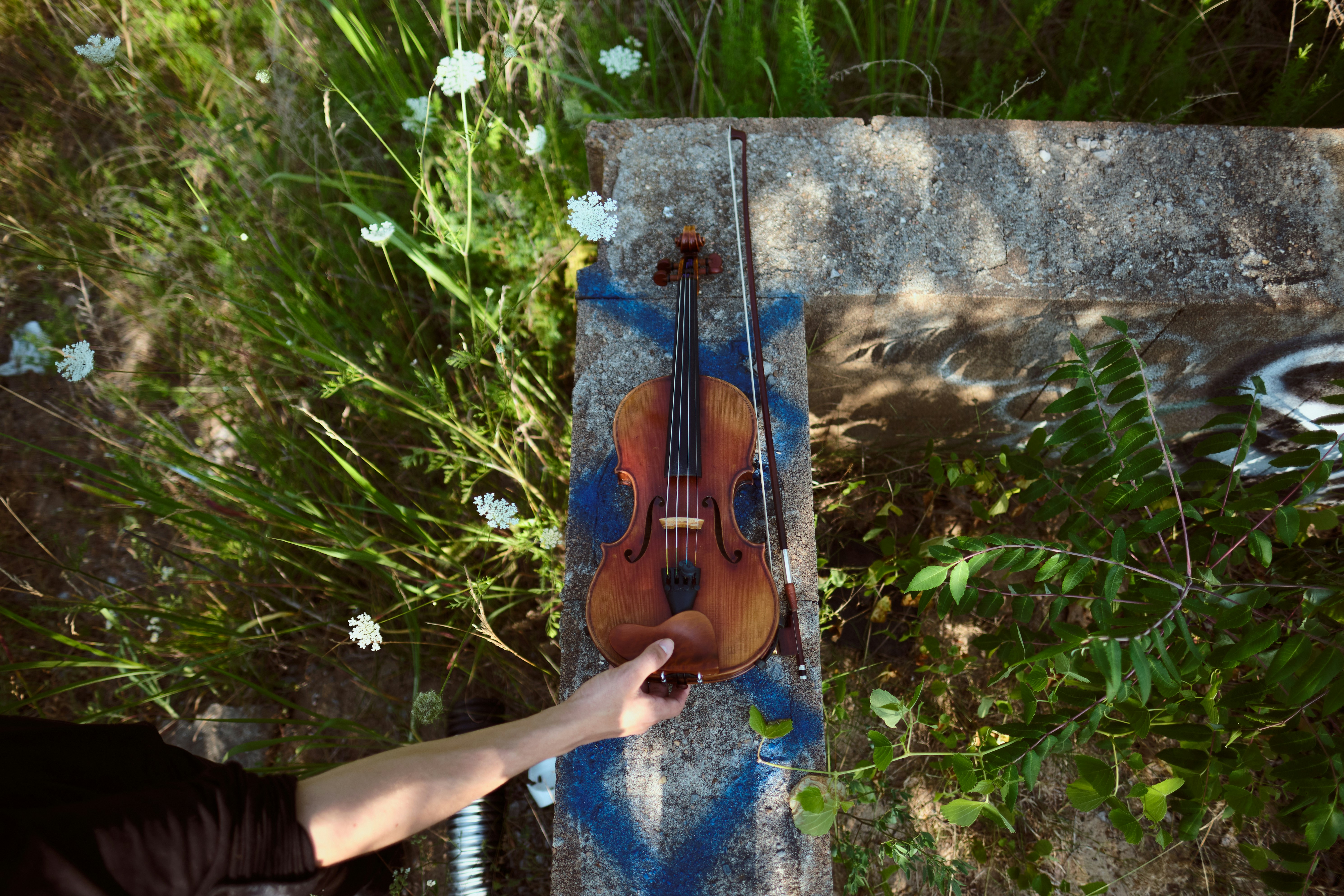A hand gently reaches for a violin resting on a weathered stone slab surrounded by wildflowers and greenery.