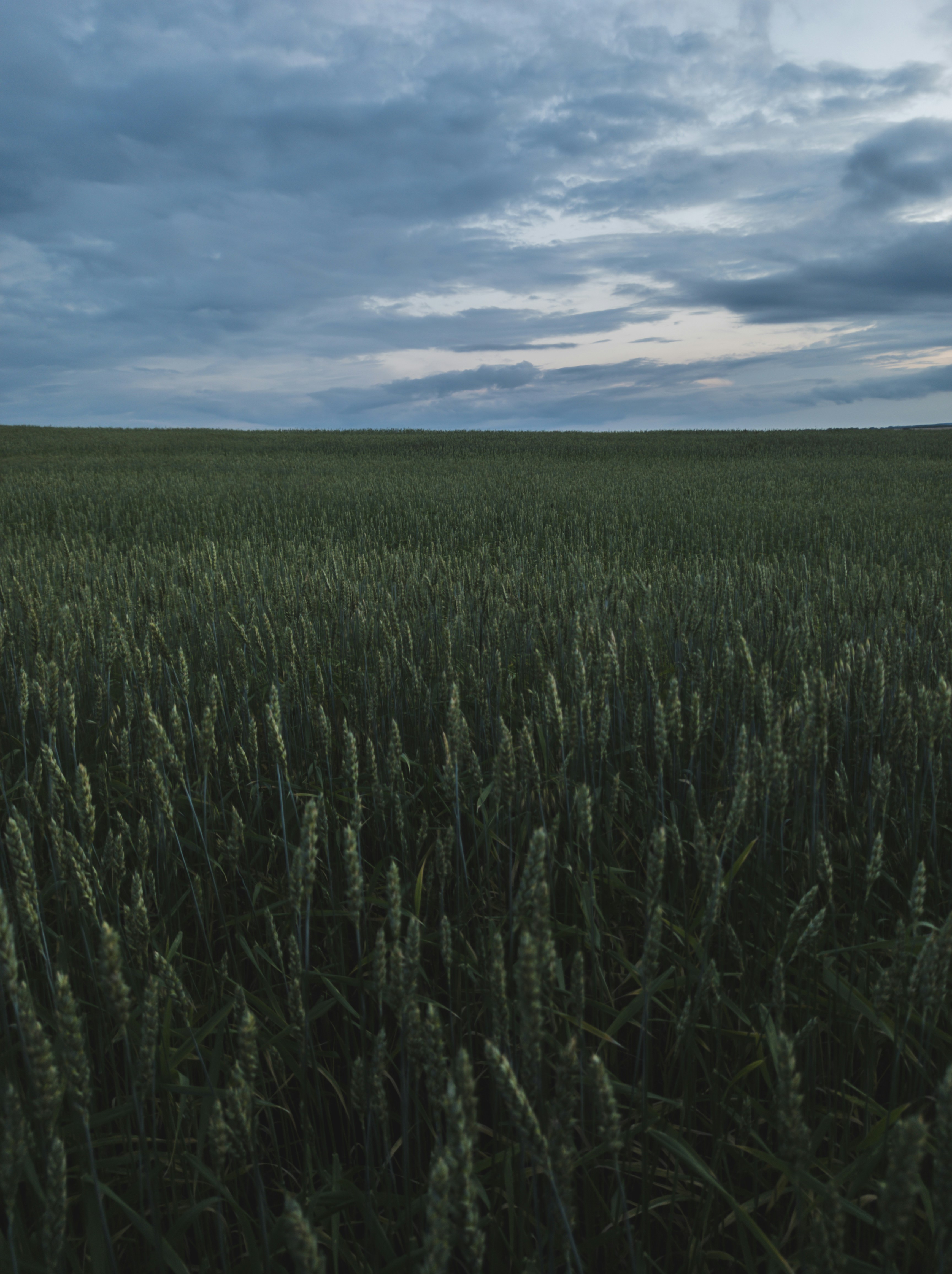 Dramatic Pictures | Download Free Images on Unsplash