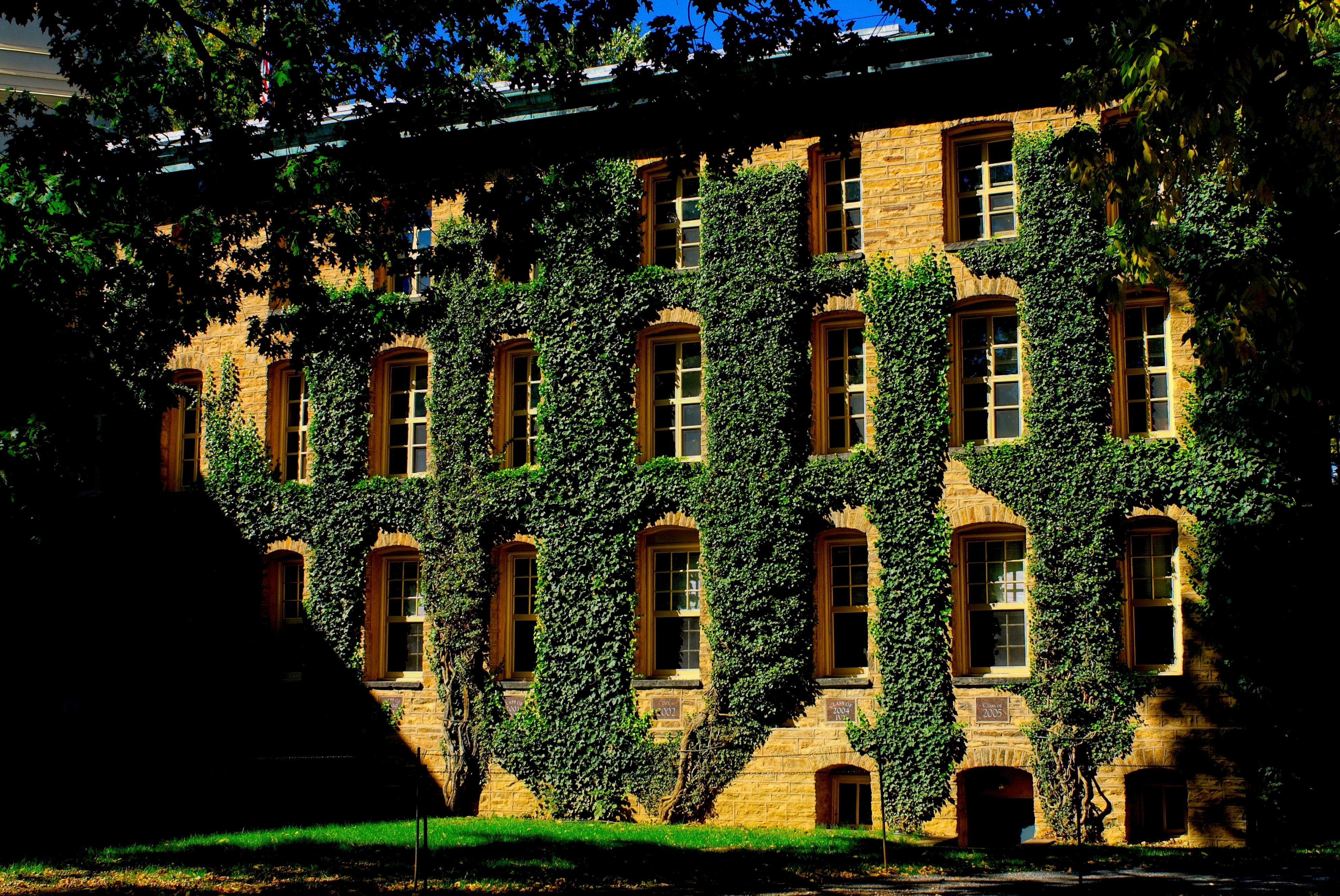 An ivy-covered historic building showcasing a blend of architecture and nature. Sunlight casts shadows on the textured stone facade.