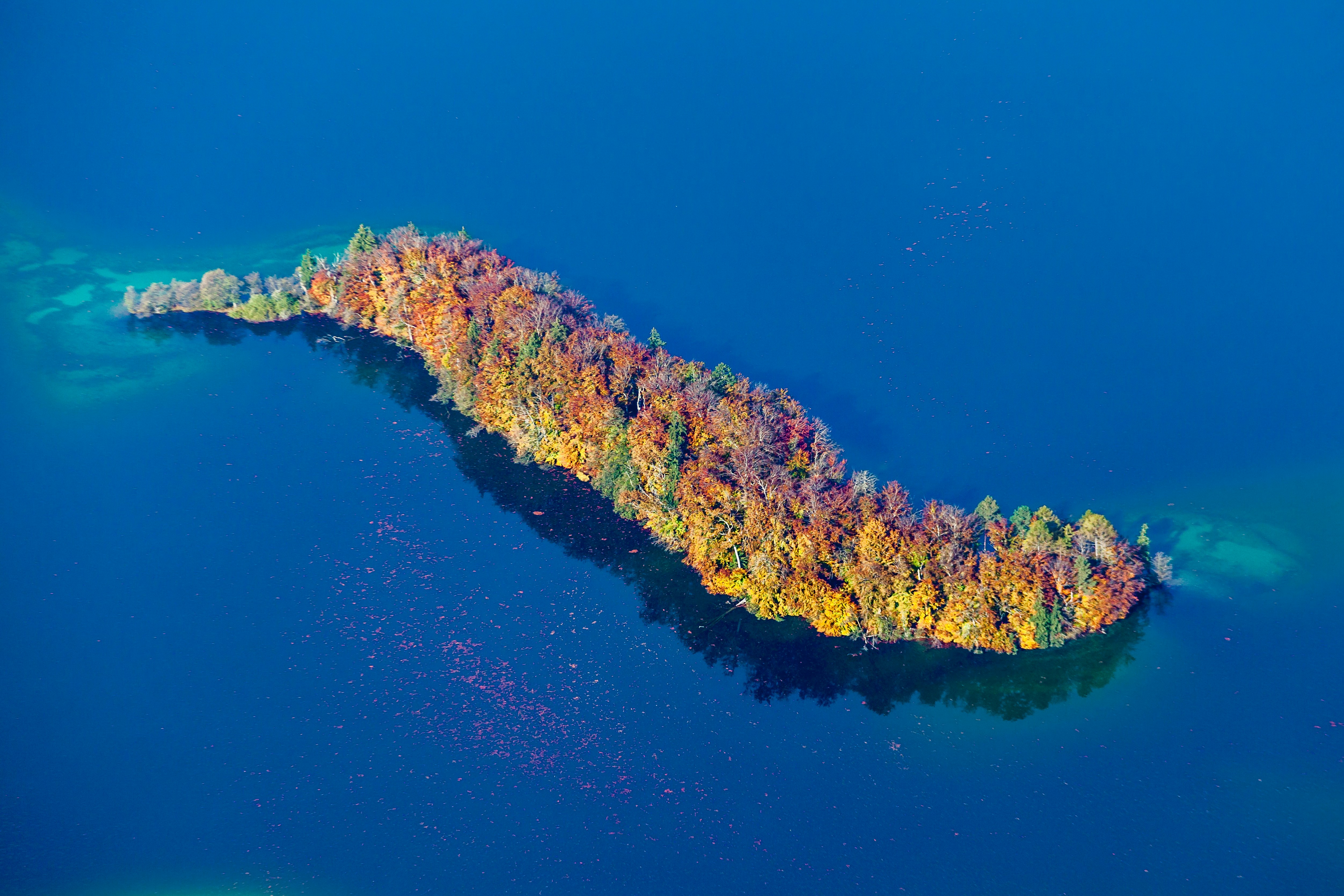 Little island in a small lake in Bavaria, Germany.