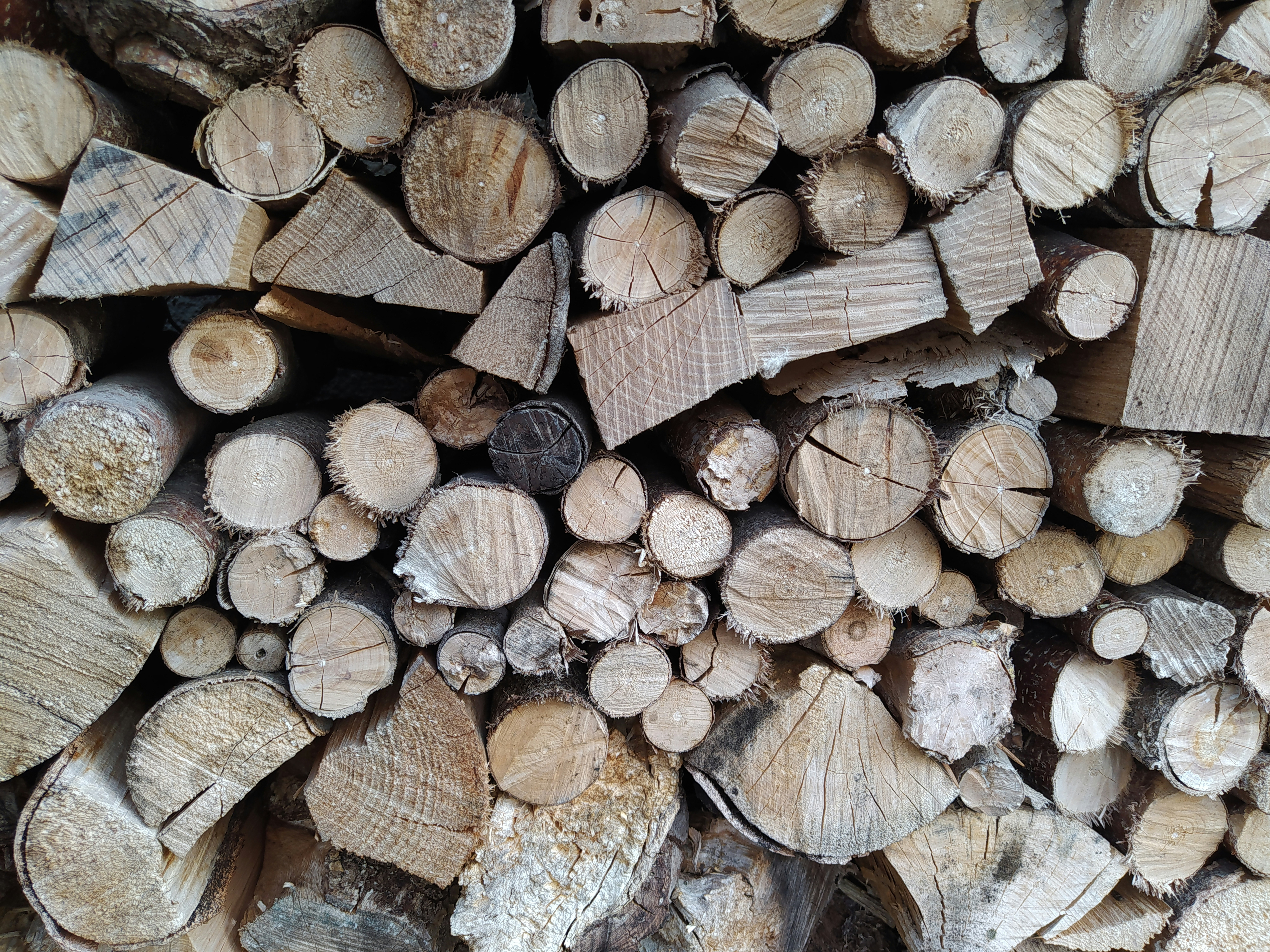 brown and gray wood logs
