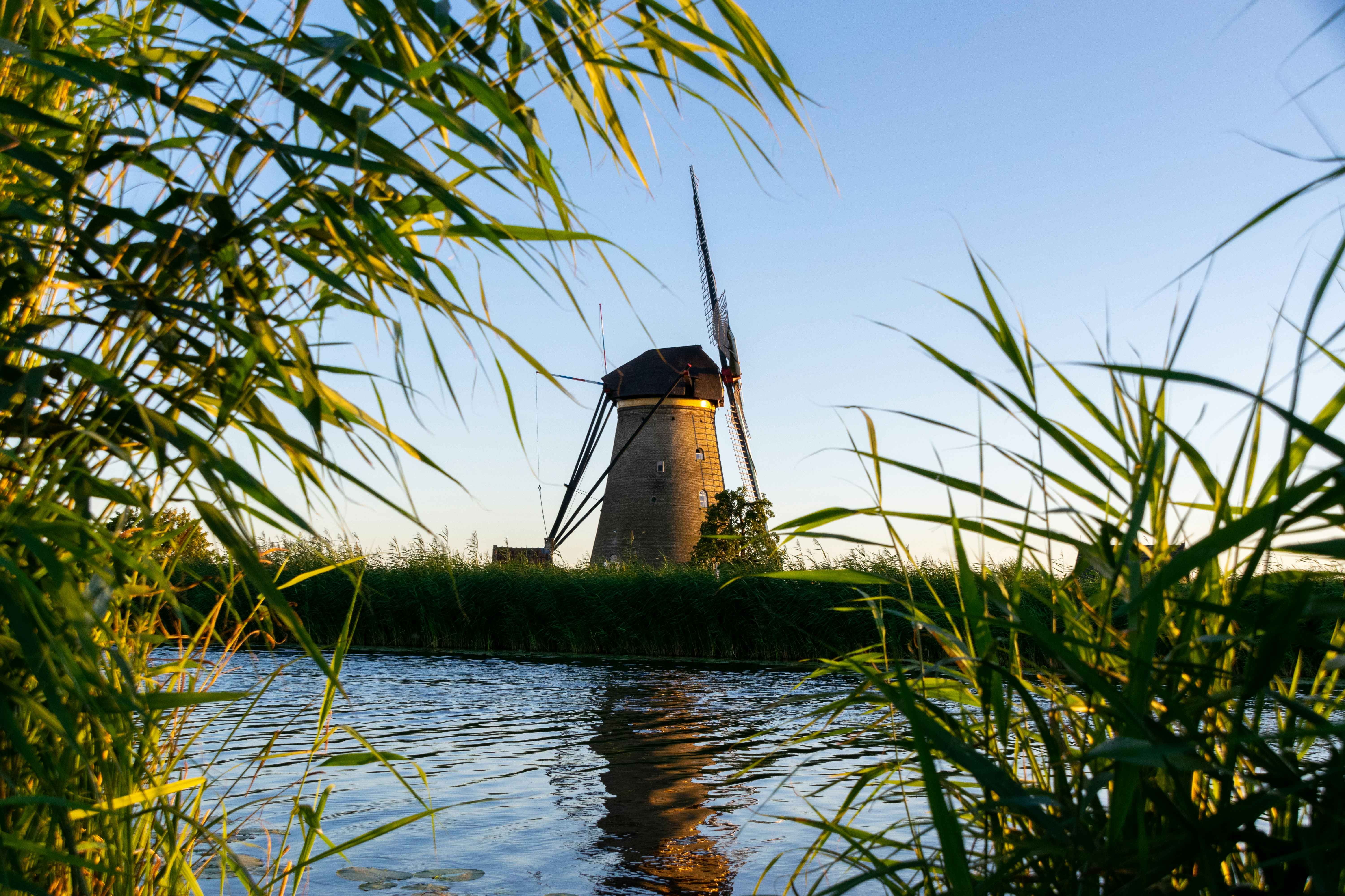 white and black lighthouse near green grass and body of water during daytime