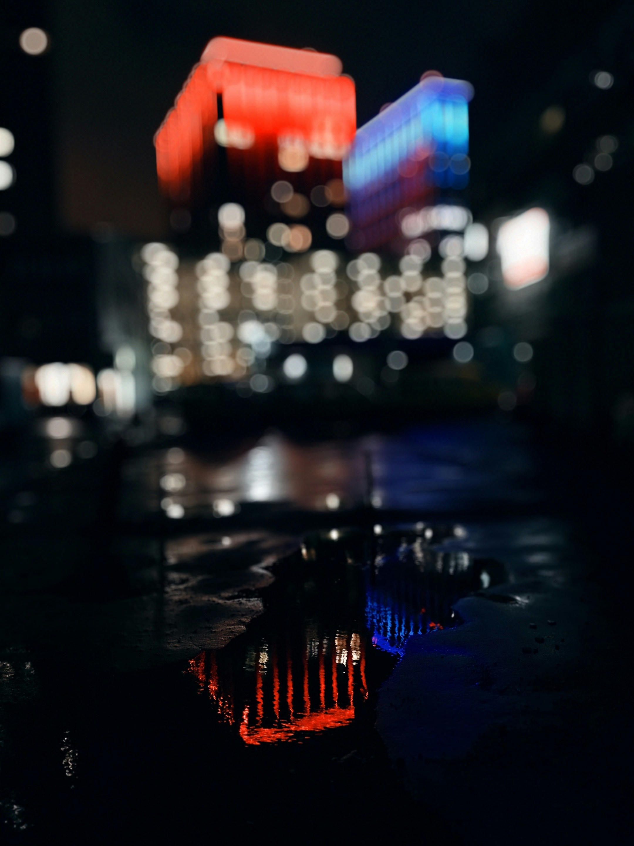 Neon Echoes on a Wet City Night