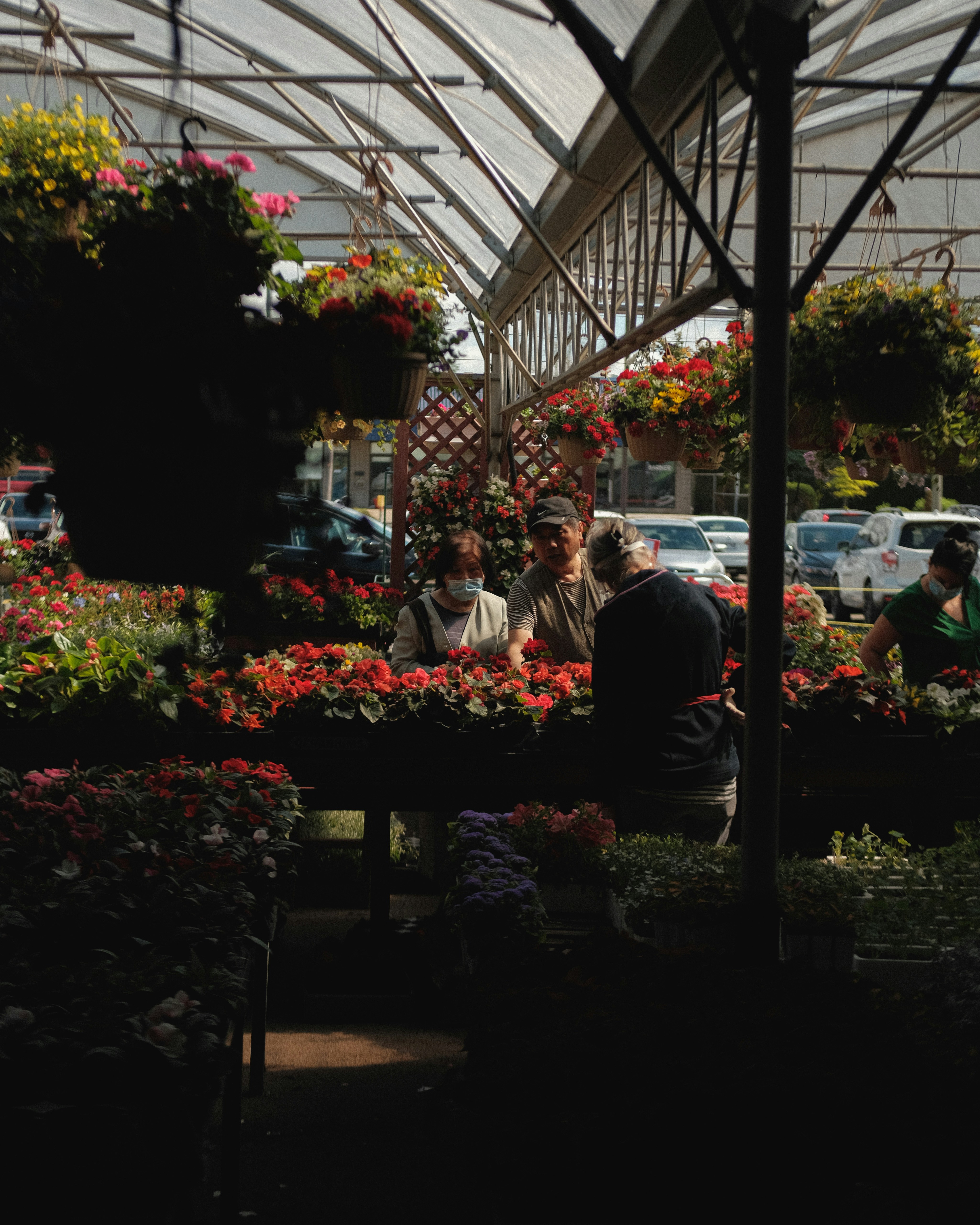 Glasshouse Market: Shoppers Amid a Veranda of Blooms