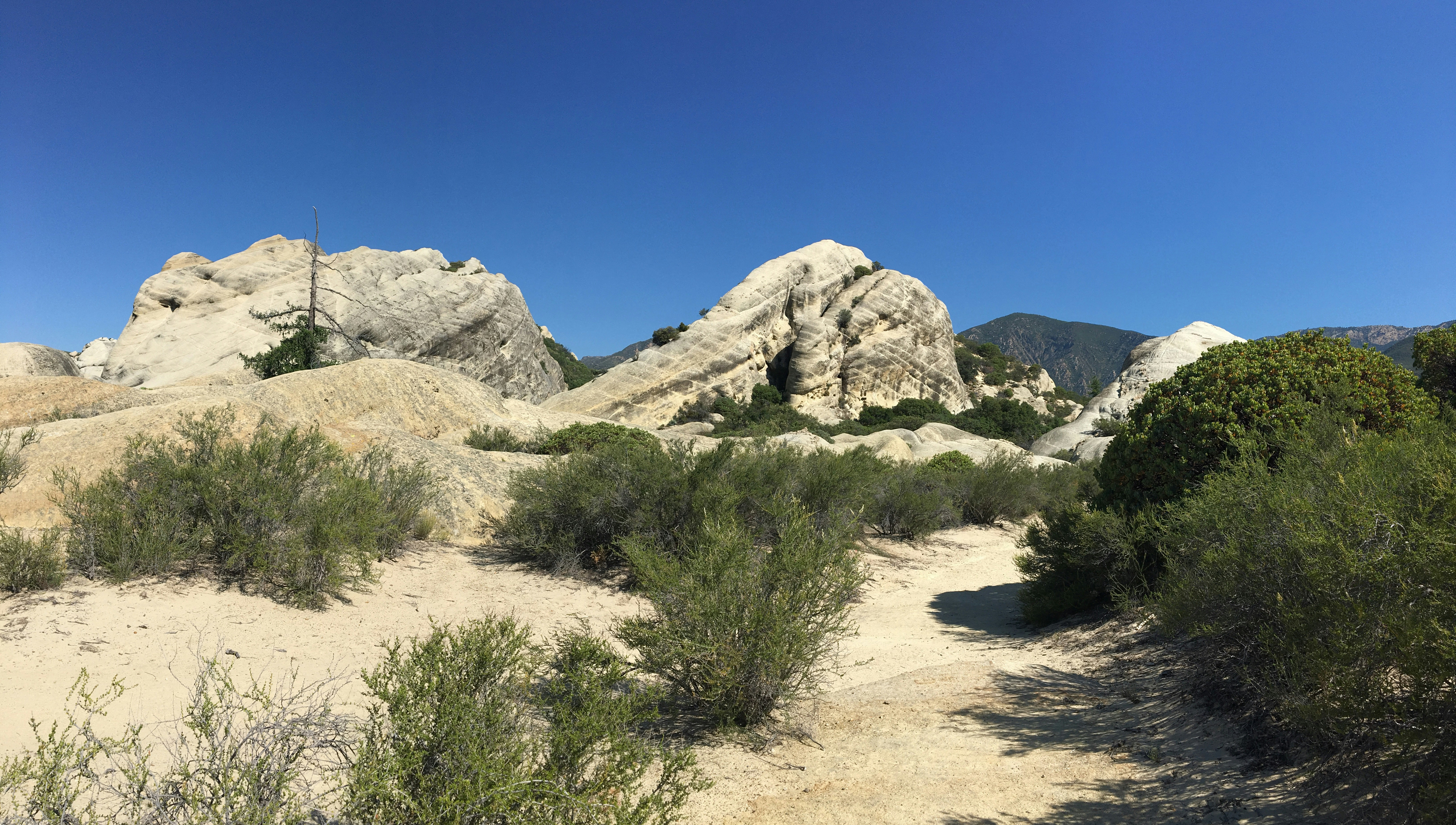 Green grass on brown sand during daytime photo – Free Outdoors Image on ...