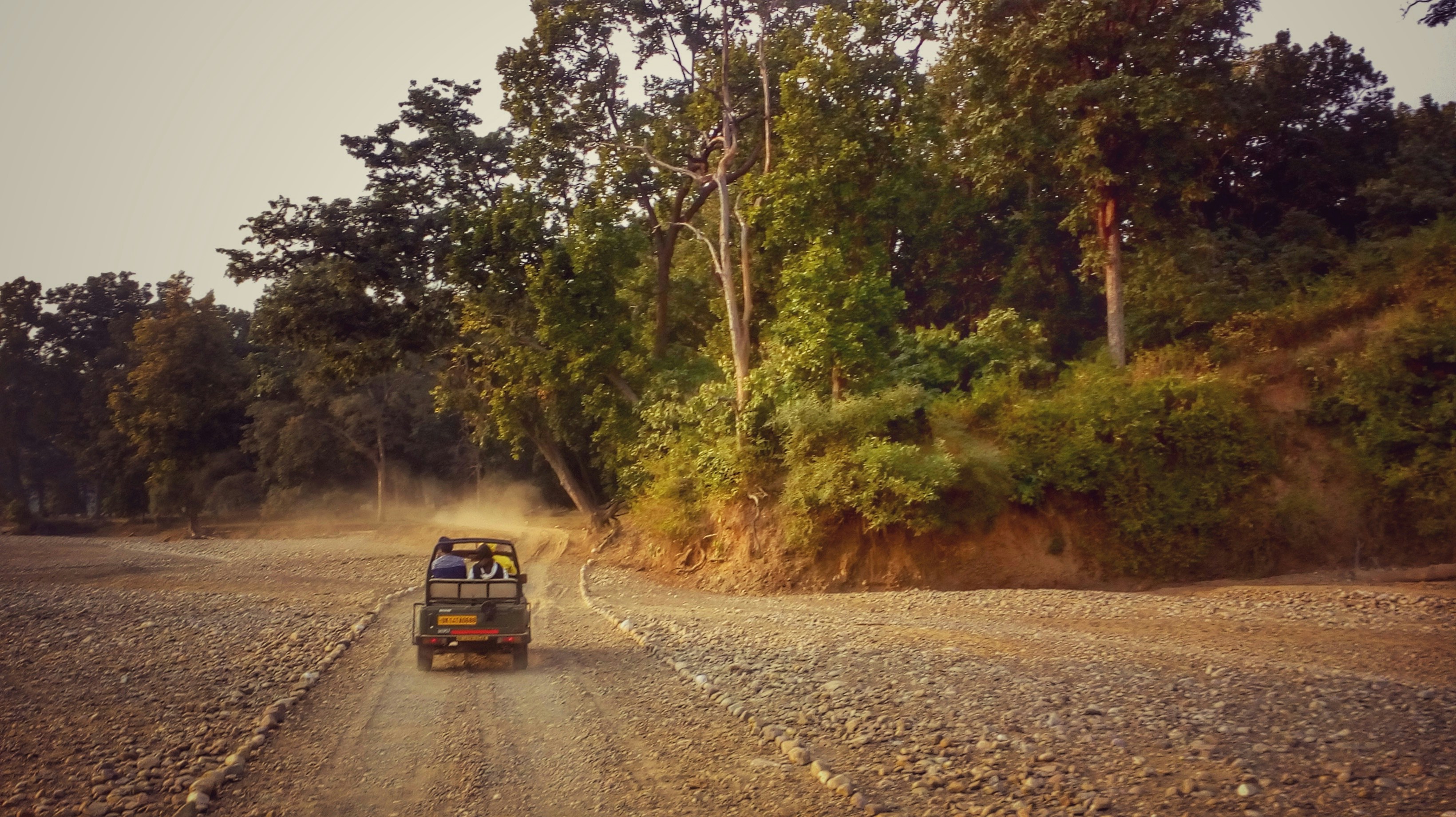 Off-road vehicle traversing a rugged path surrounded by dense trees and dusty terrain.