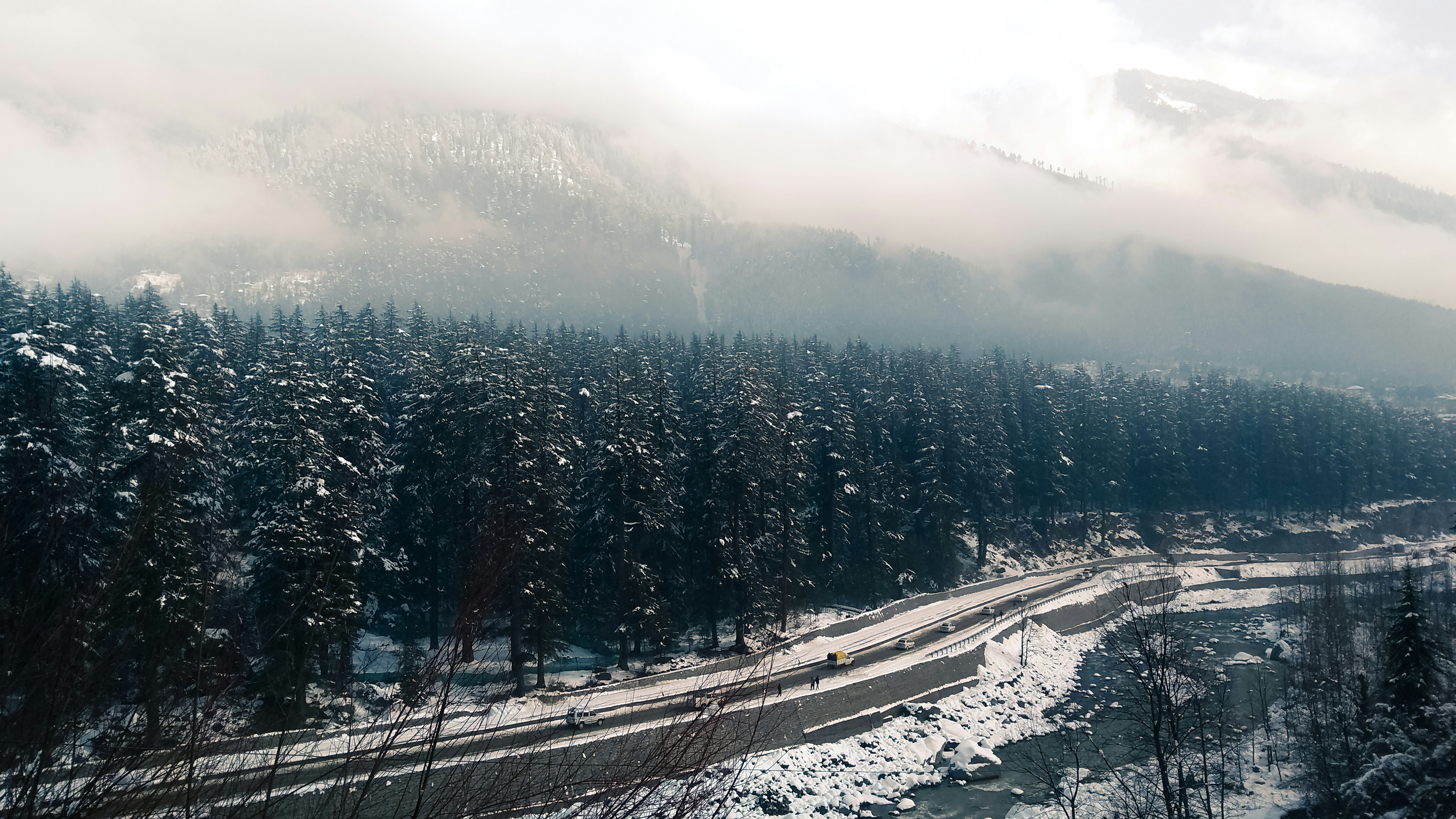 Snow covered trees and road during daytime photo – Free Manali Image on ...