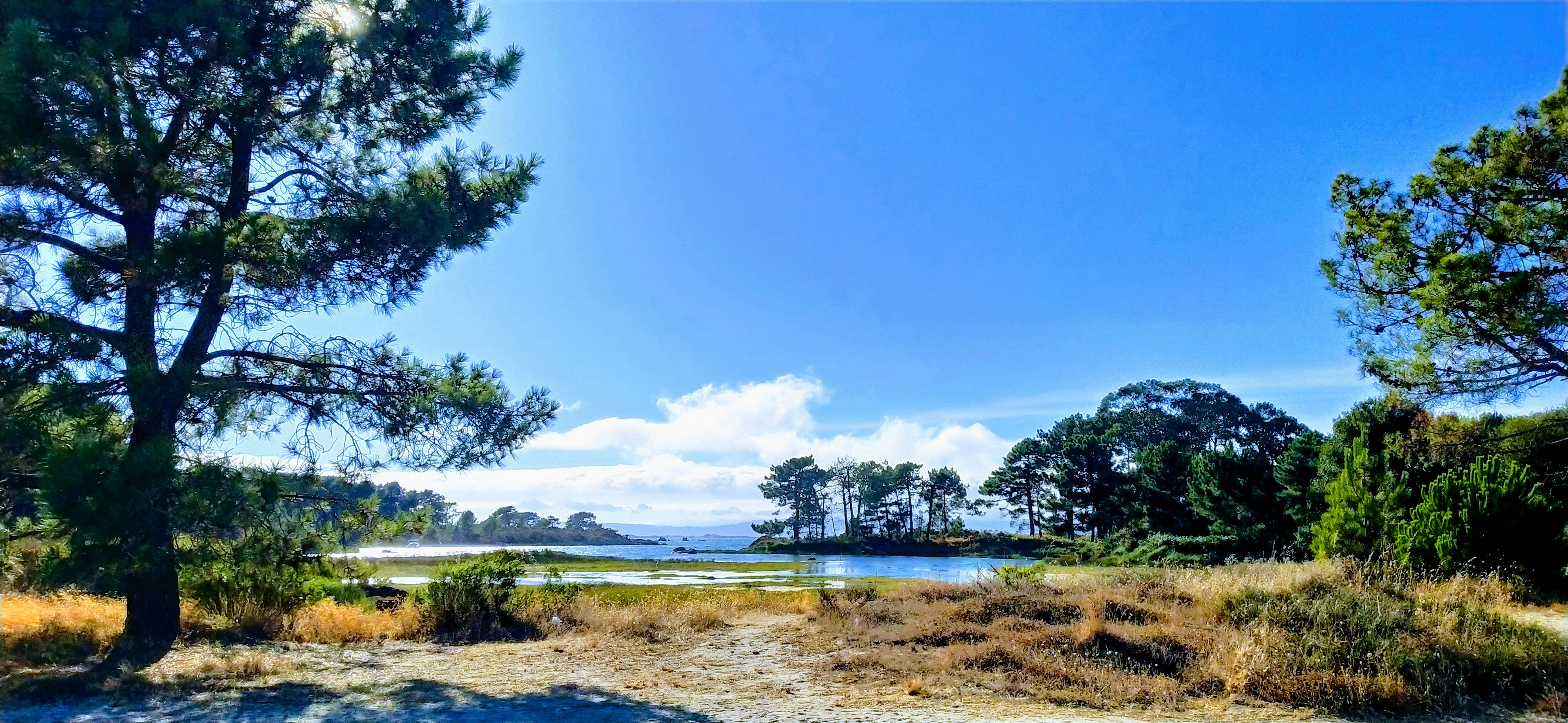 Lush trees frame a tranquil bay under a bright blue sky.