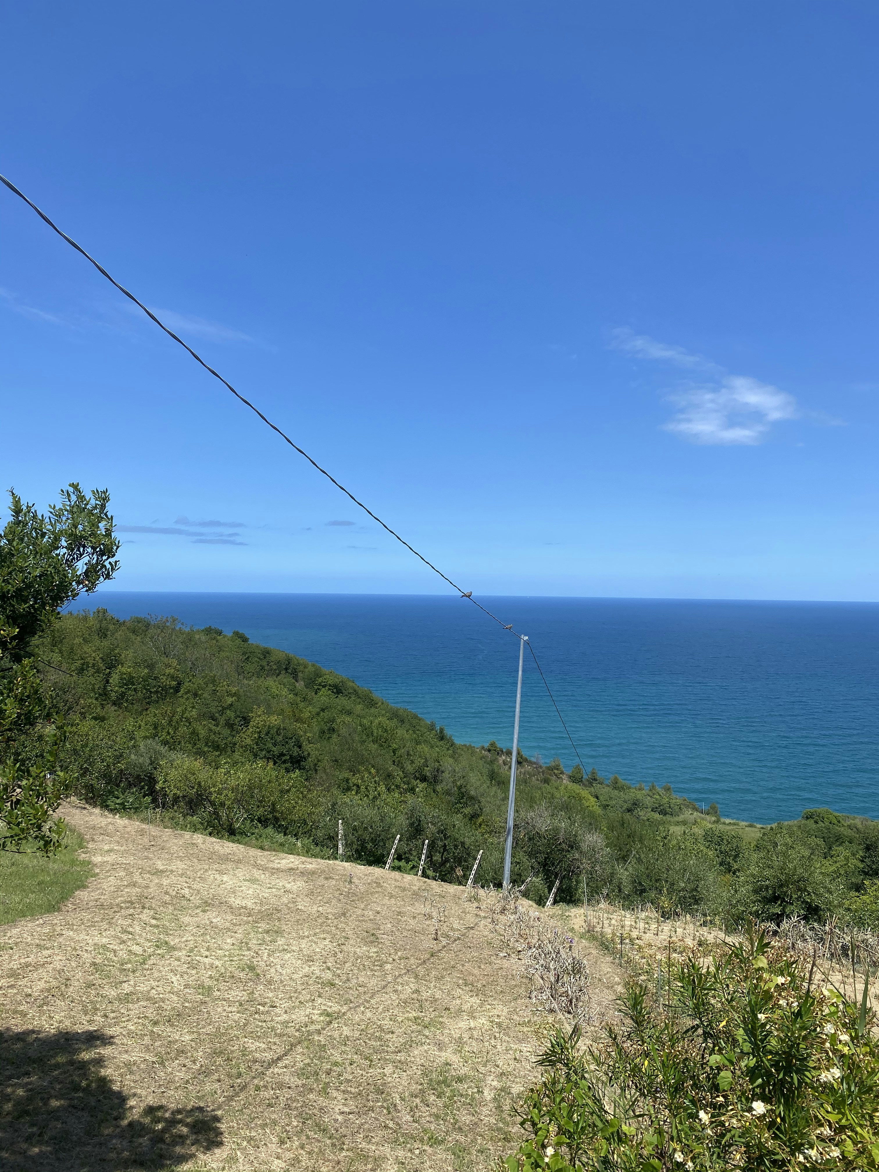 Coastal landscape with grassy hill and vibrant blue sea under a clear sky.