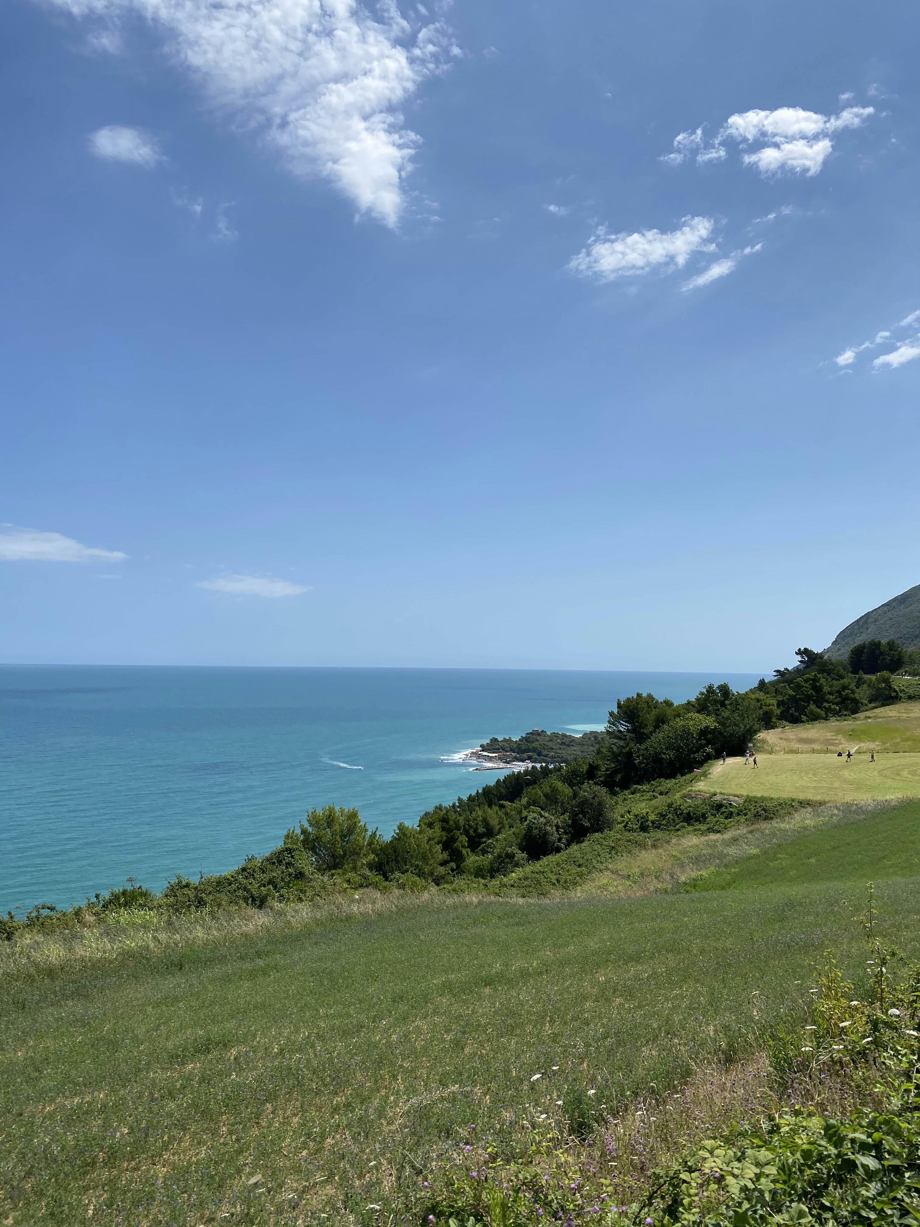 Définition de délocalisation régionale | Dictionnaire français