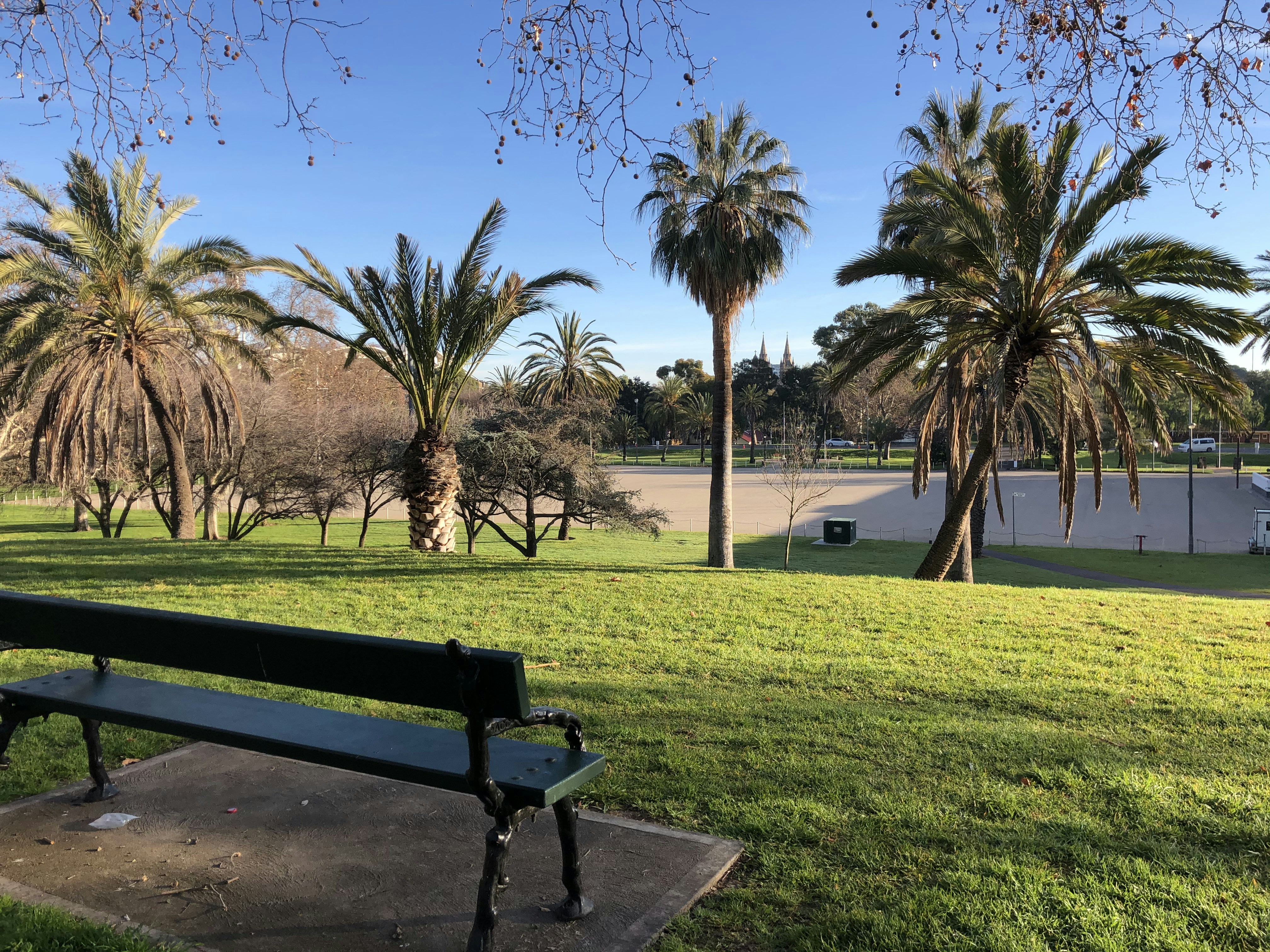 black wooden bench on green grass field near palm trees during daytime