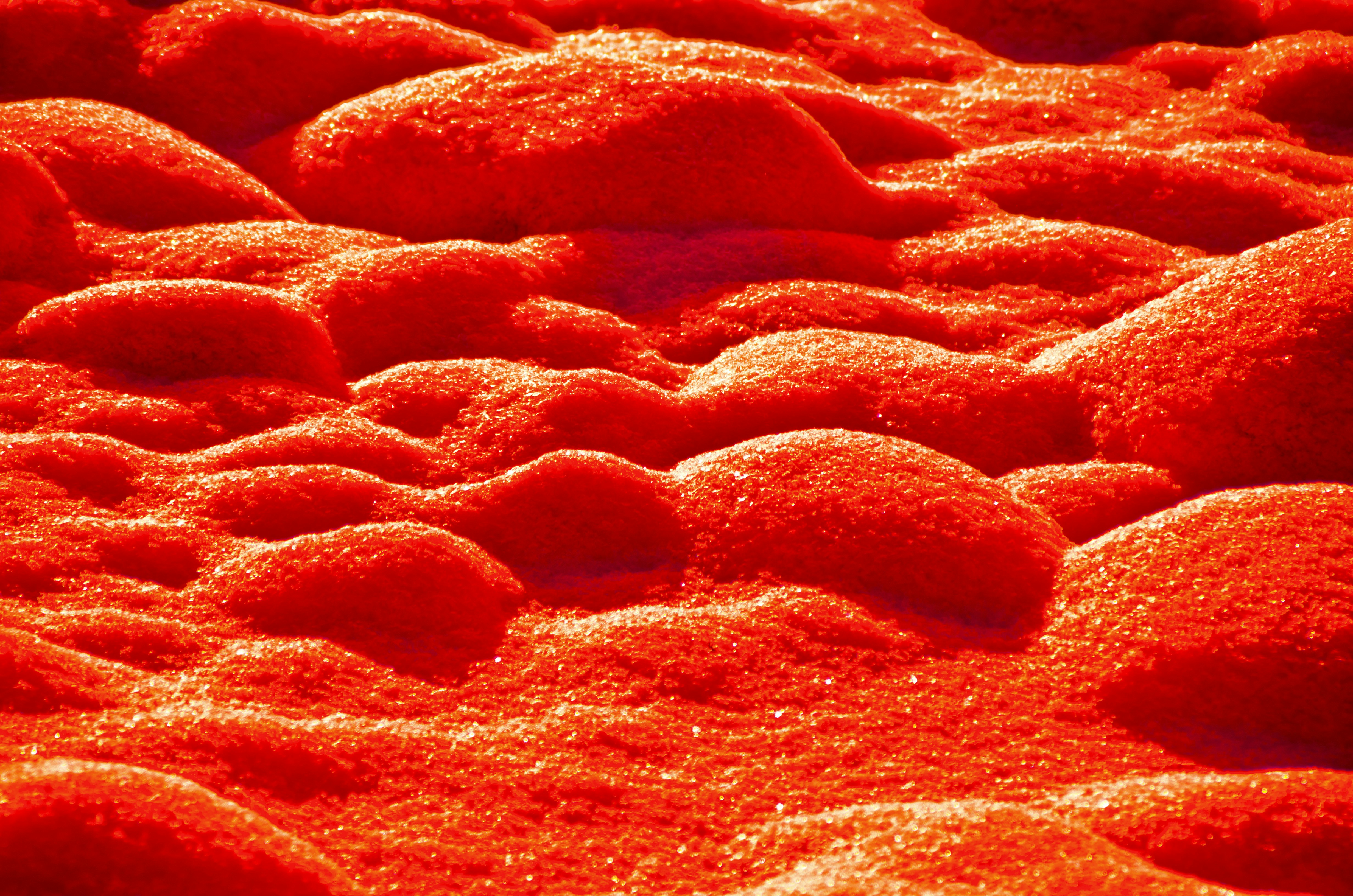 Crimson Foam Dunes