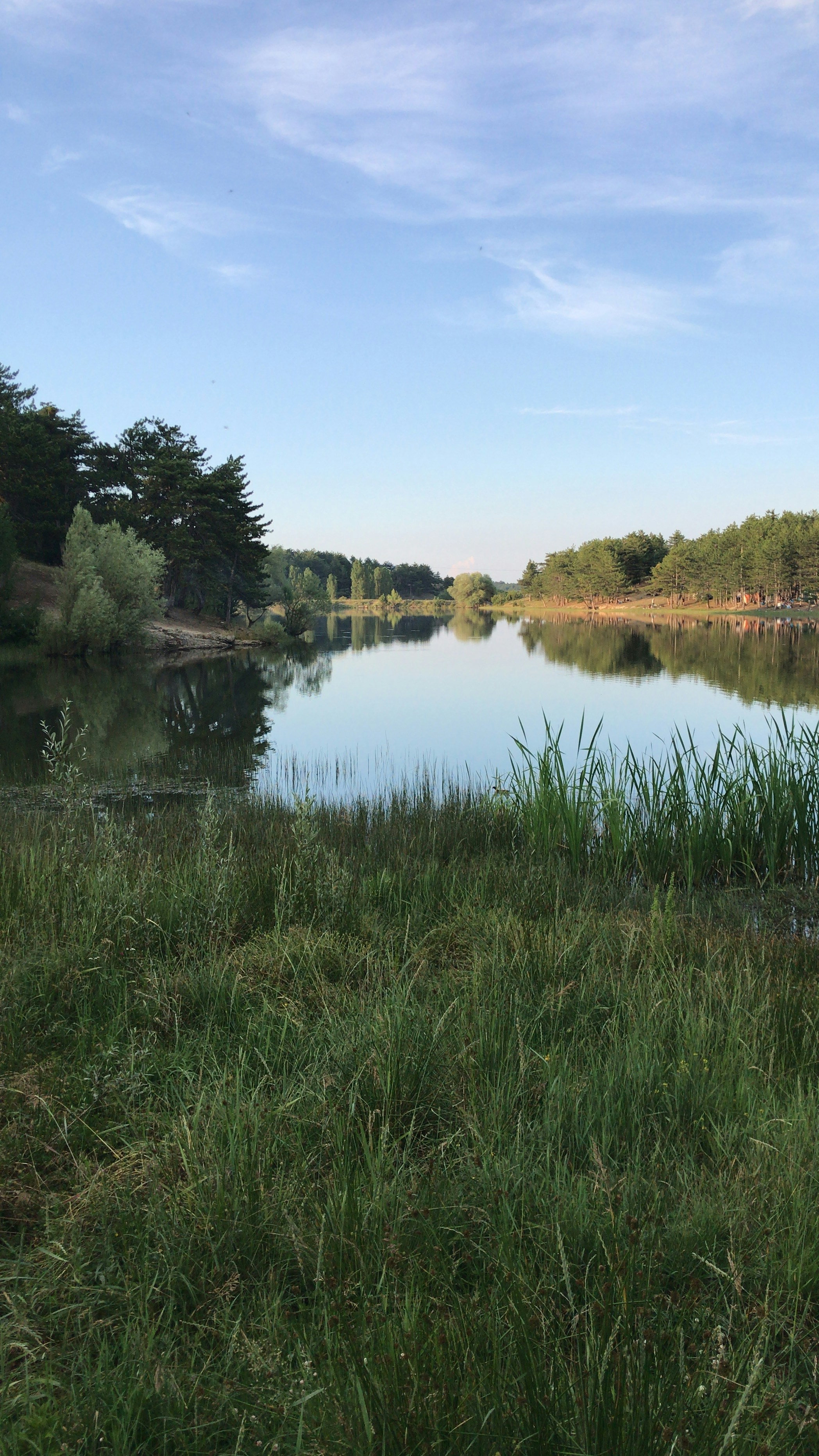 Green grass field near lake during daytime photo – Free Blue Image on ...