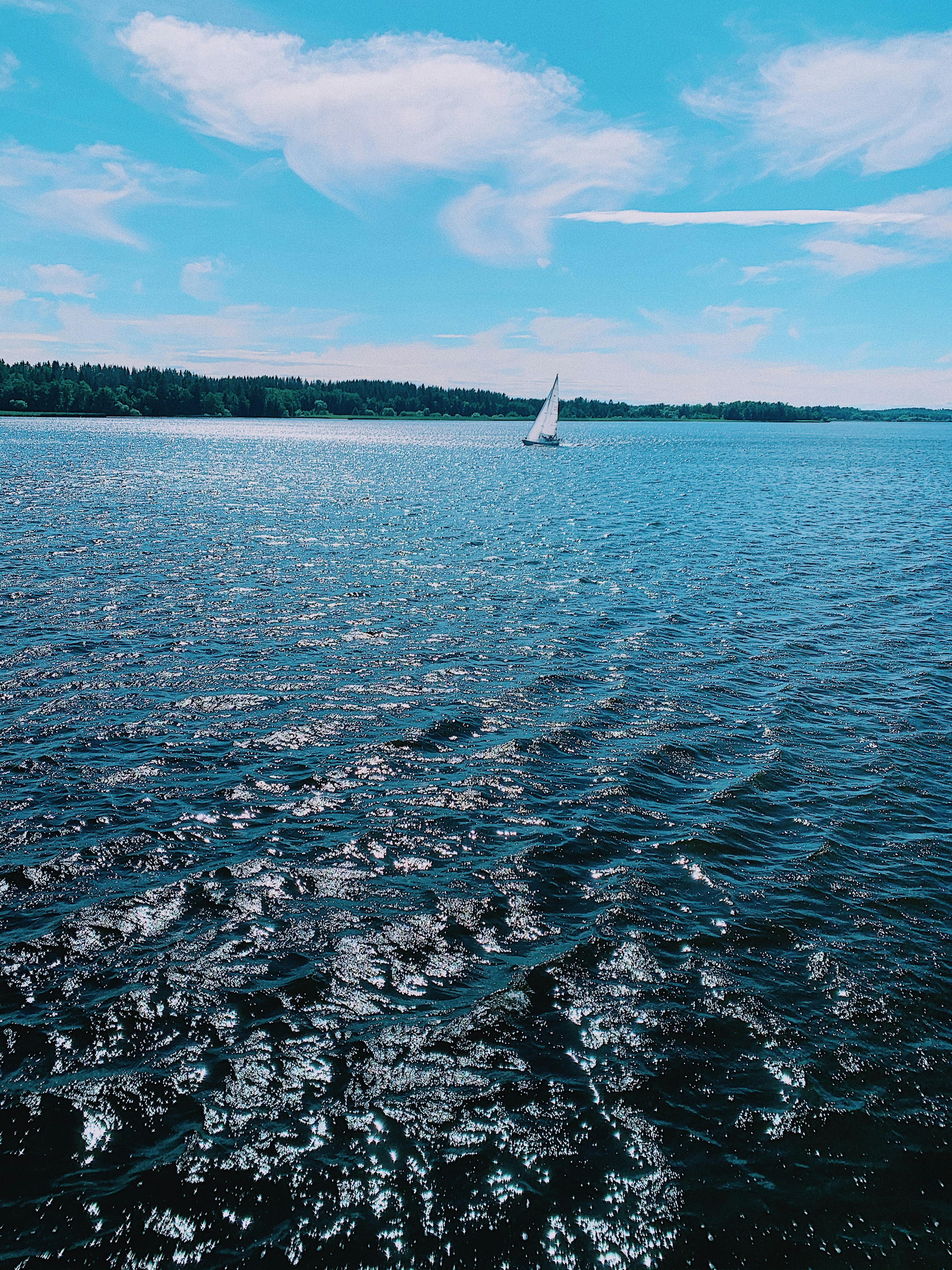 Seal vs. Sealing - What's the Difference? | This vs. That