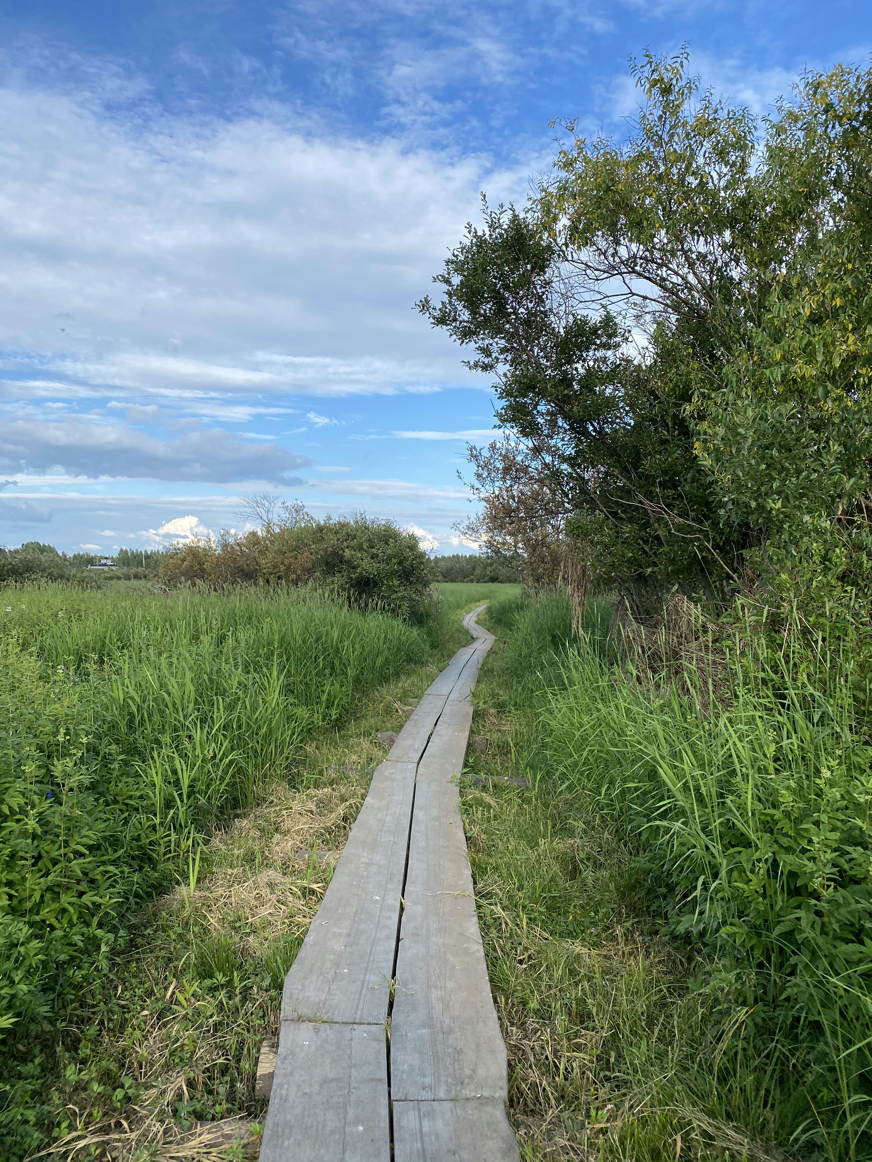 Gray concrete pathway between green grass field under blue sky during ...