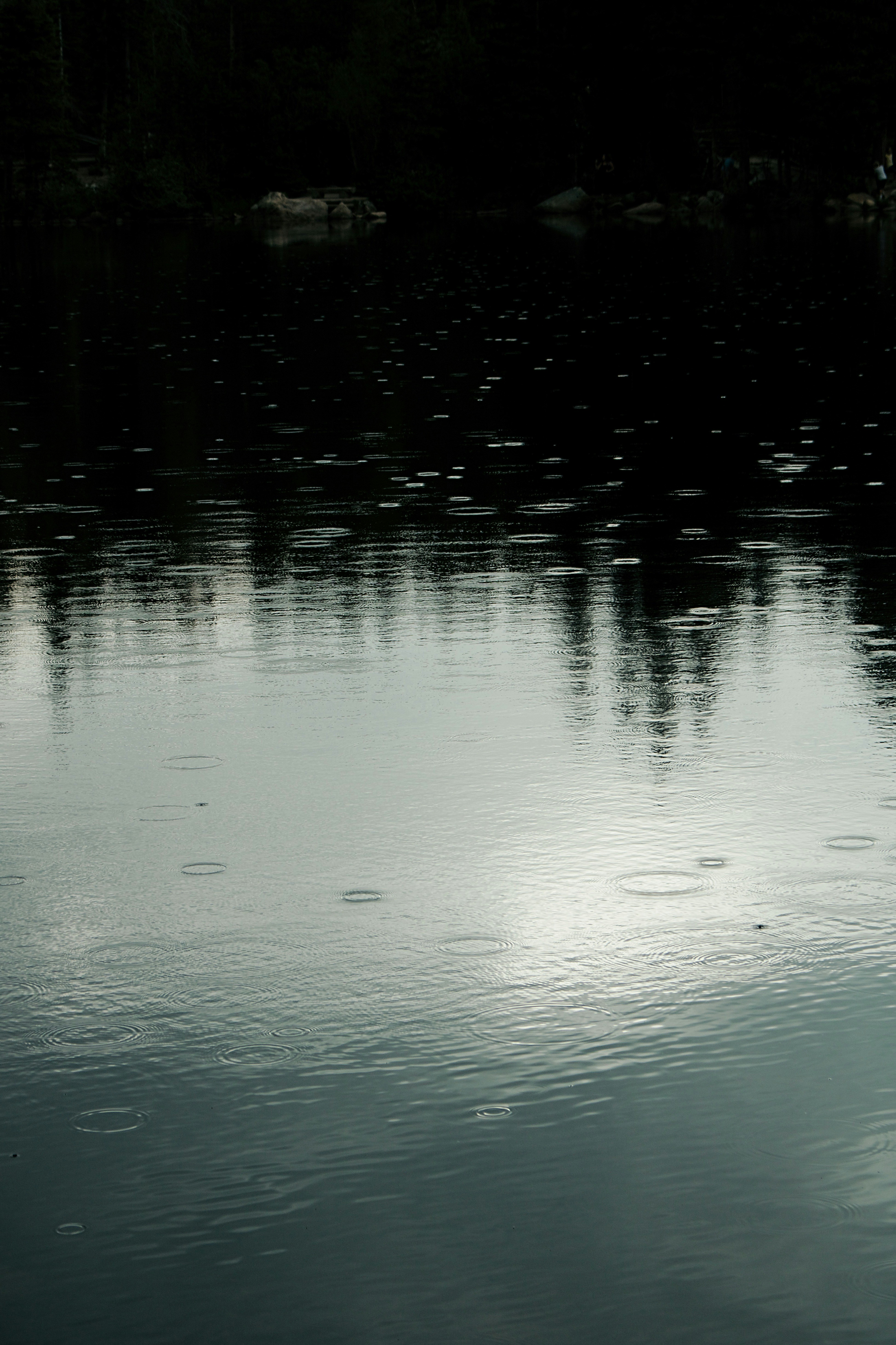 Ripples form on a tranquil lake surface as raindrops fall, with dark silhouettes of trees reflected in the water. The scene evokes a sense of calm and introspection.