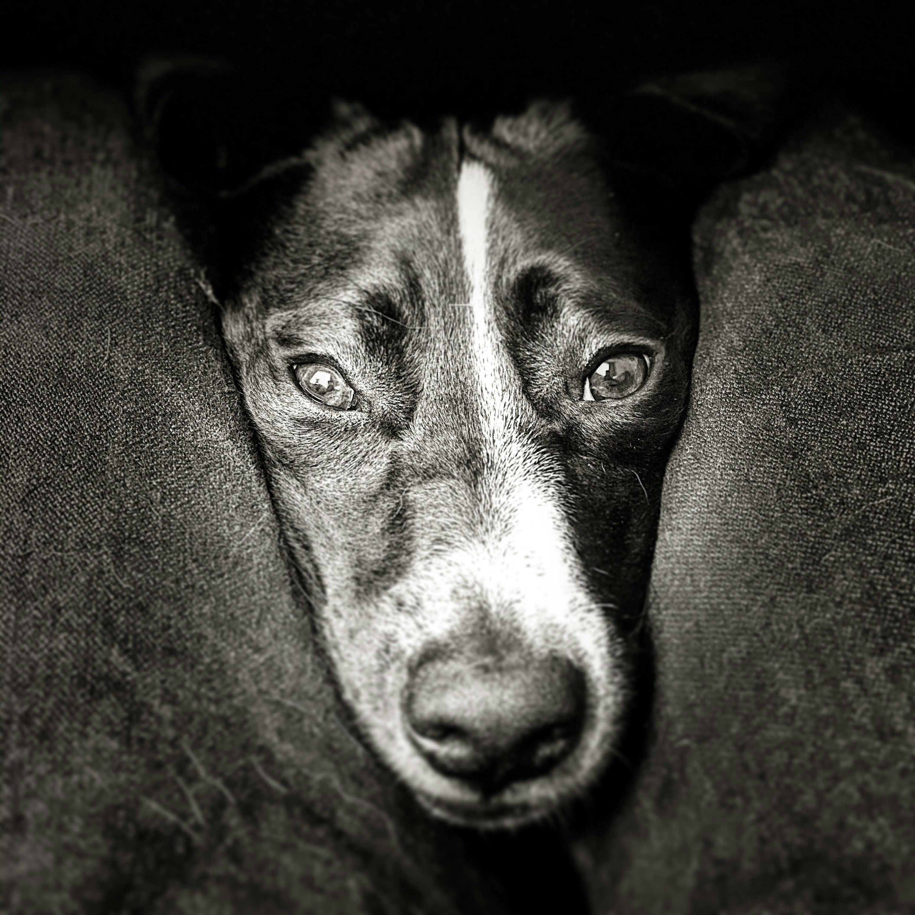 Jacob Curtis (@nailgunstanley) | Comunidad de fotos de Unsplash