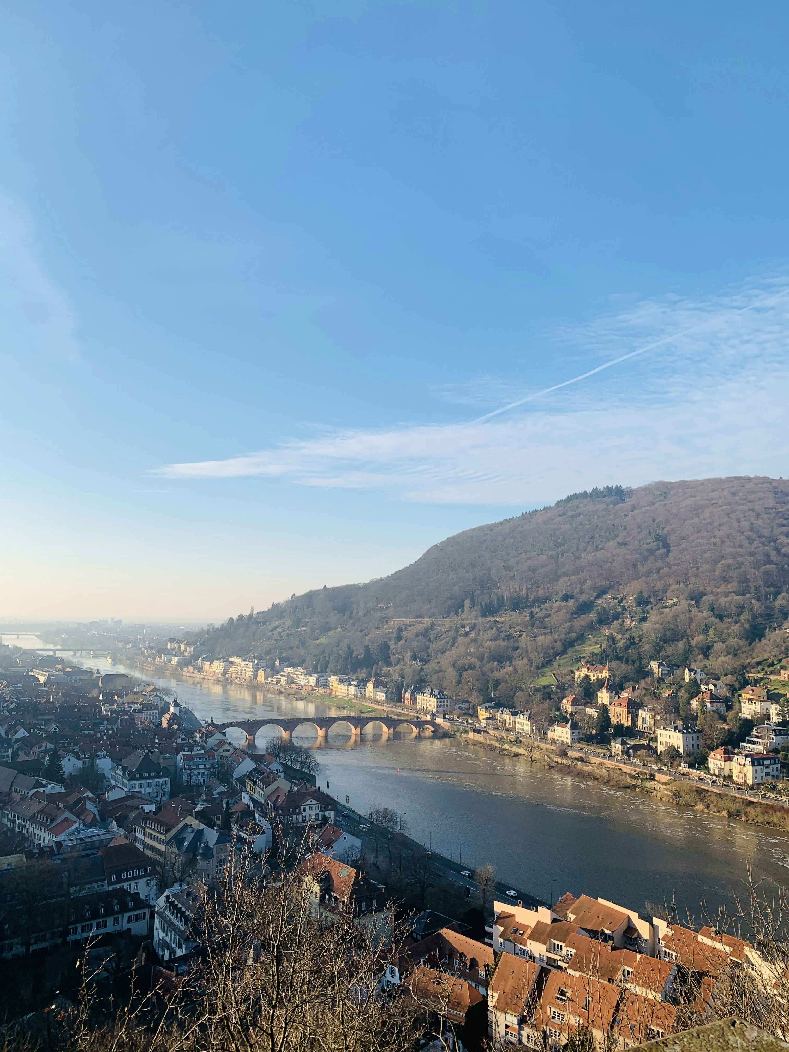 Above the Rhine valley: sunlit town and ancient bridge
