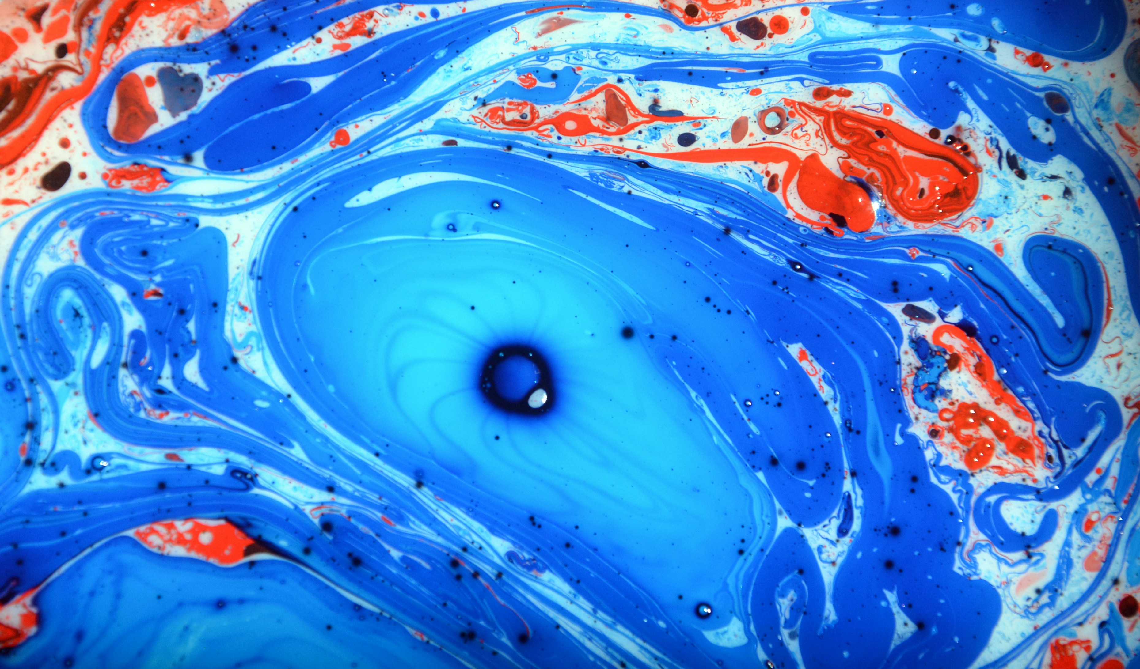 Photographs of Splash paint.Closeup abstract color mixing of water, acrylic,oil and milk for use as background image. Acrylic texture with marble or ocean pattern, multi color background photo