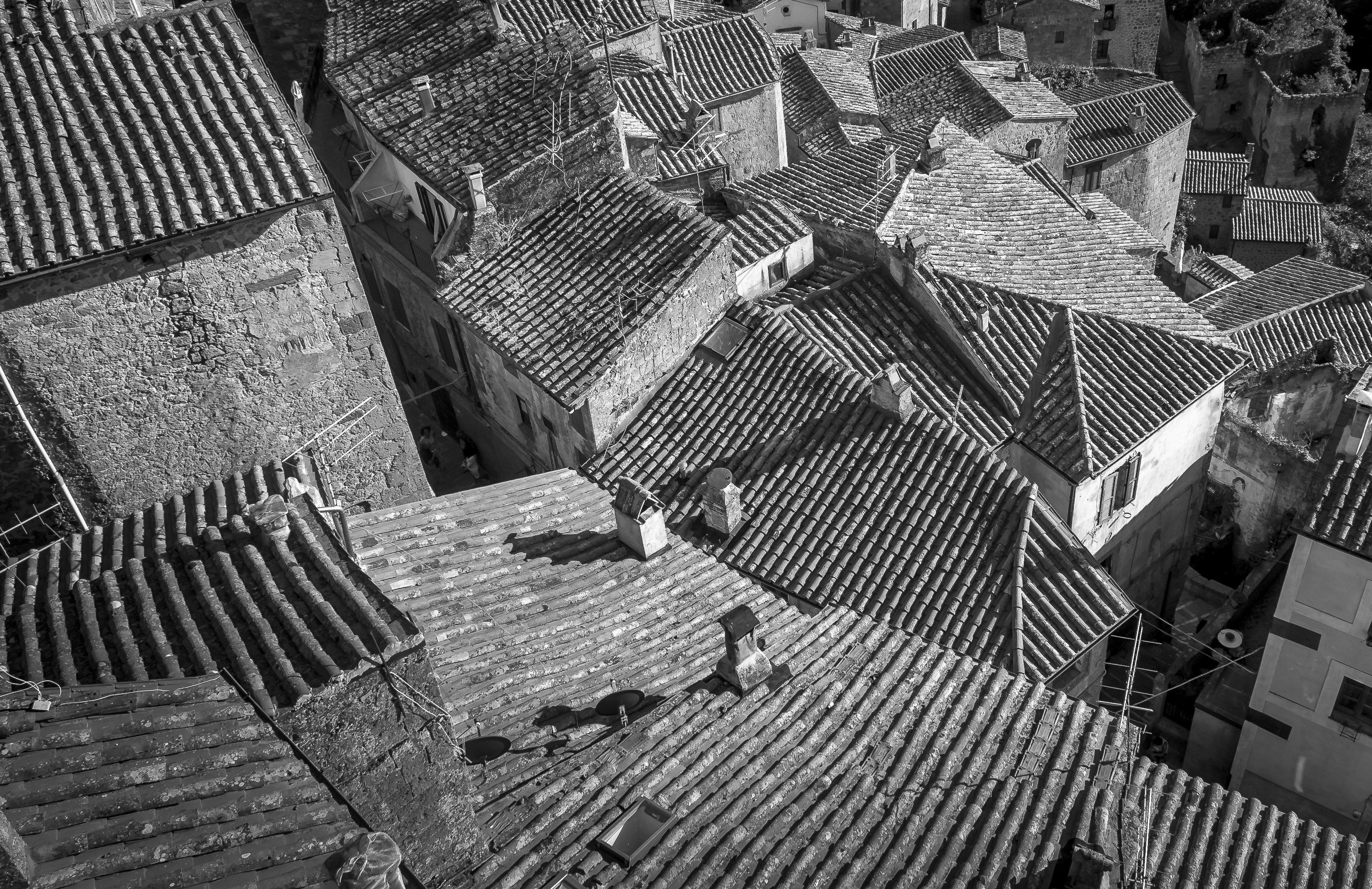 Labyrinth of Tiled Rooftops