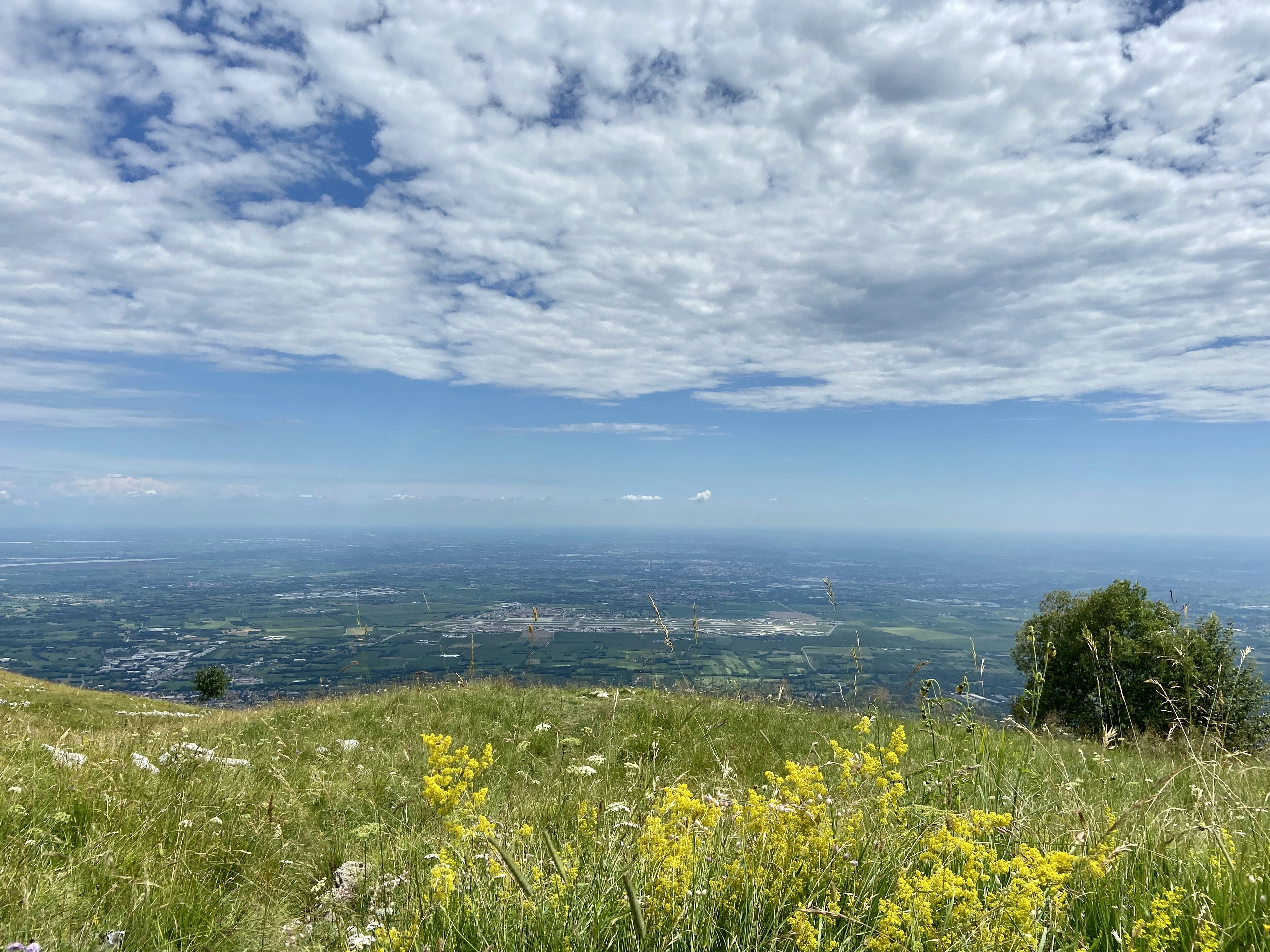 Italian Shrines: Madonna Del Monte Di Marsure