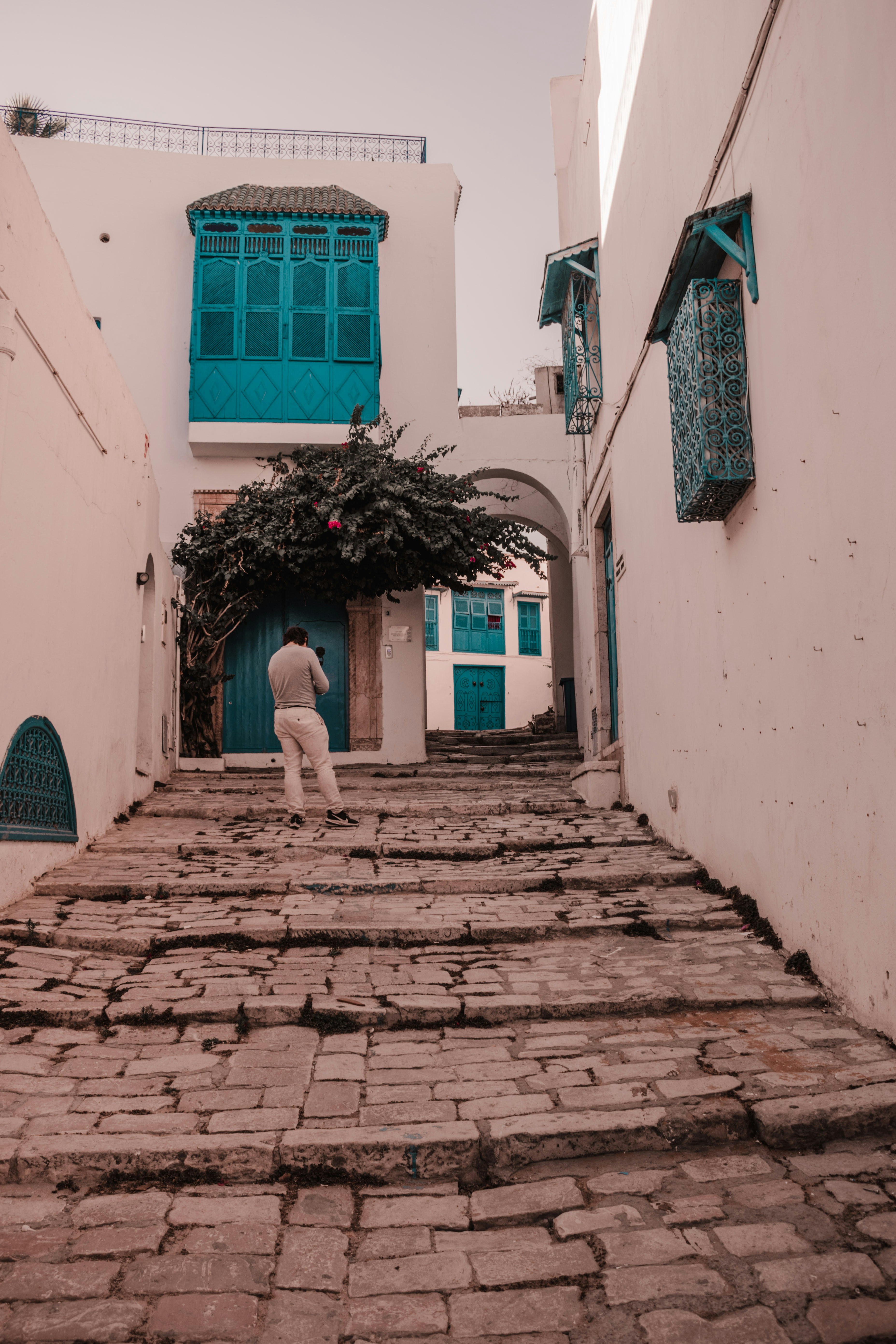 A narrow, cobbled street framed by whitewashed walls and vibrant blue accents, leading to an archway adorned with greenery.