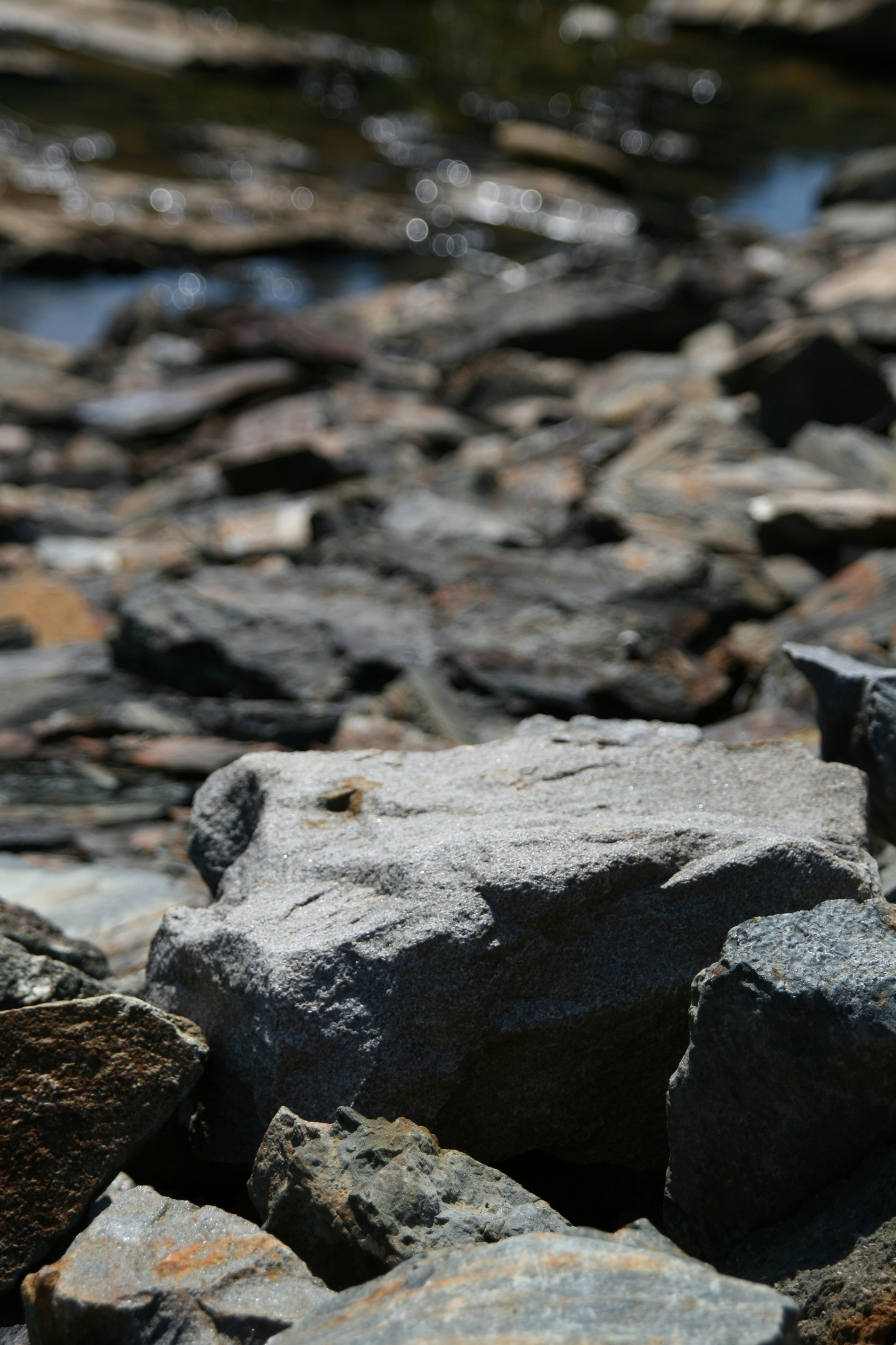 Black and gray rocks on gray rocky ground photo – Free Grey Image on ...
