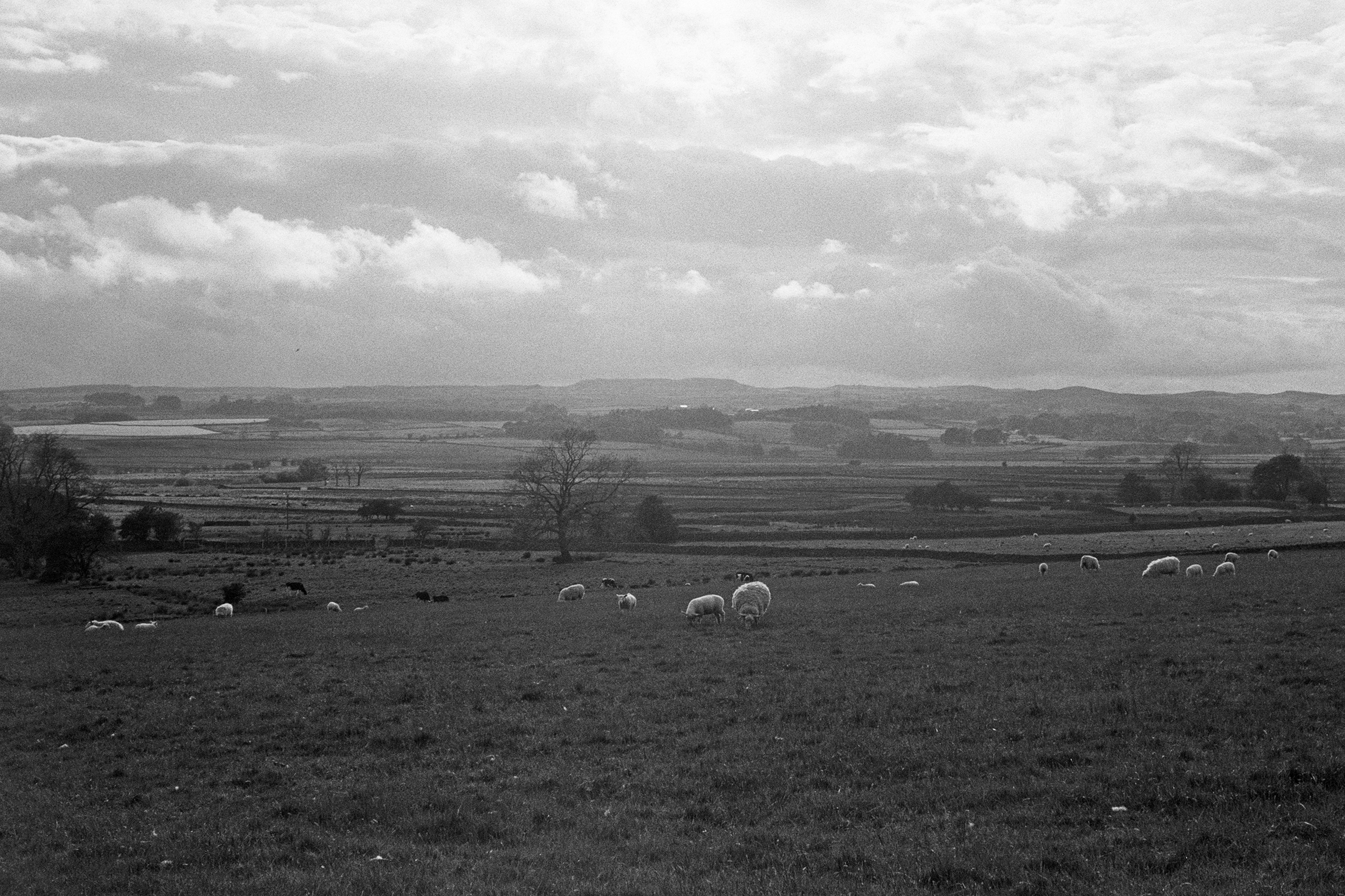 Farms Pictures | Download Free Images on Unsplash