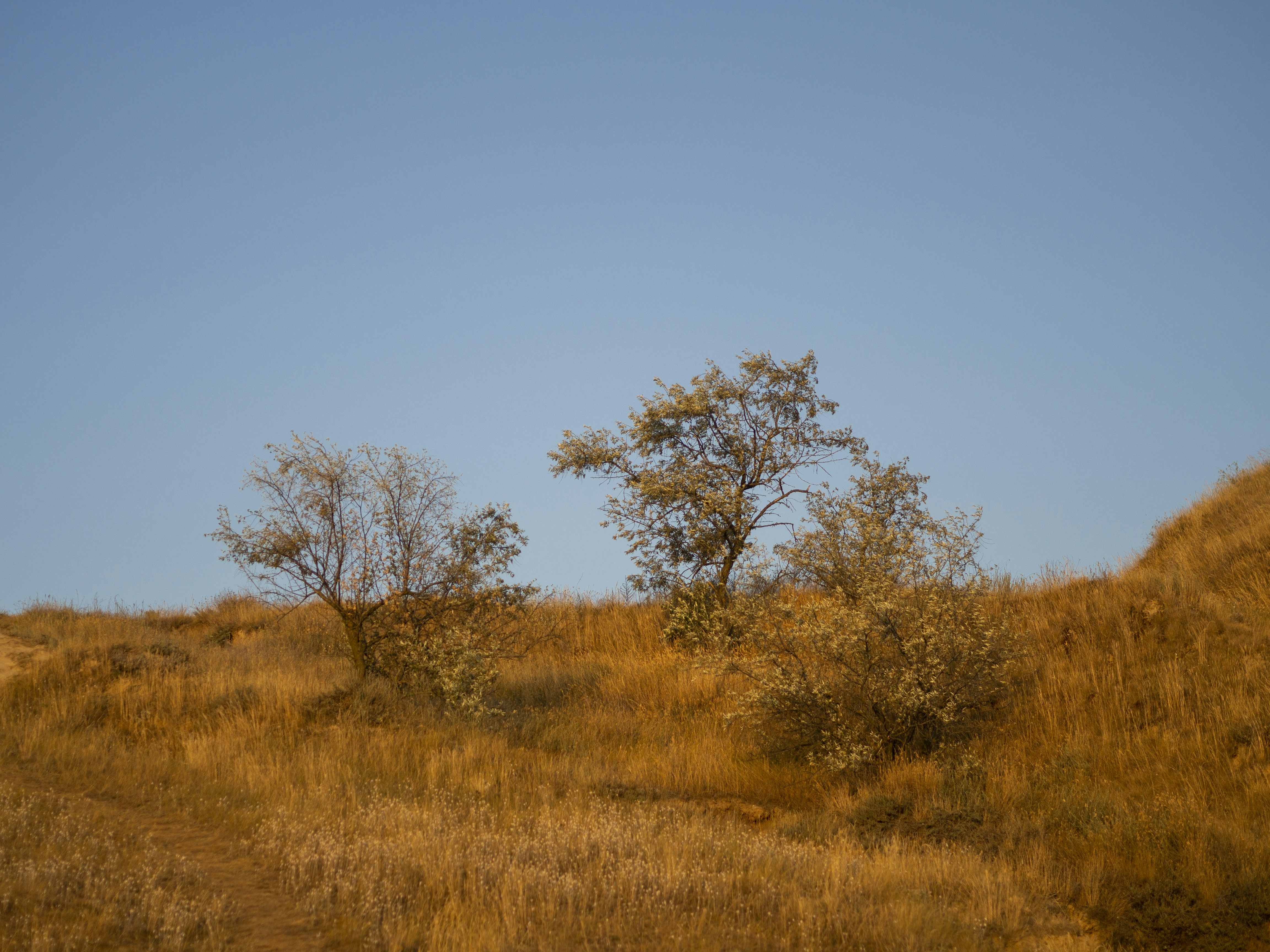 Photo by Andrew with Olympus OM-D E-M10 Mark III