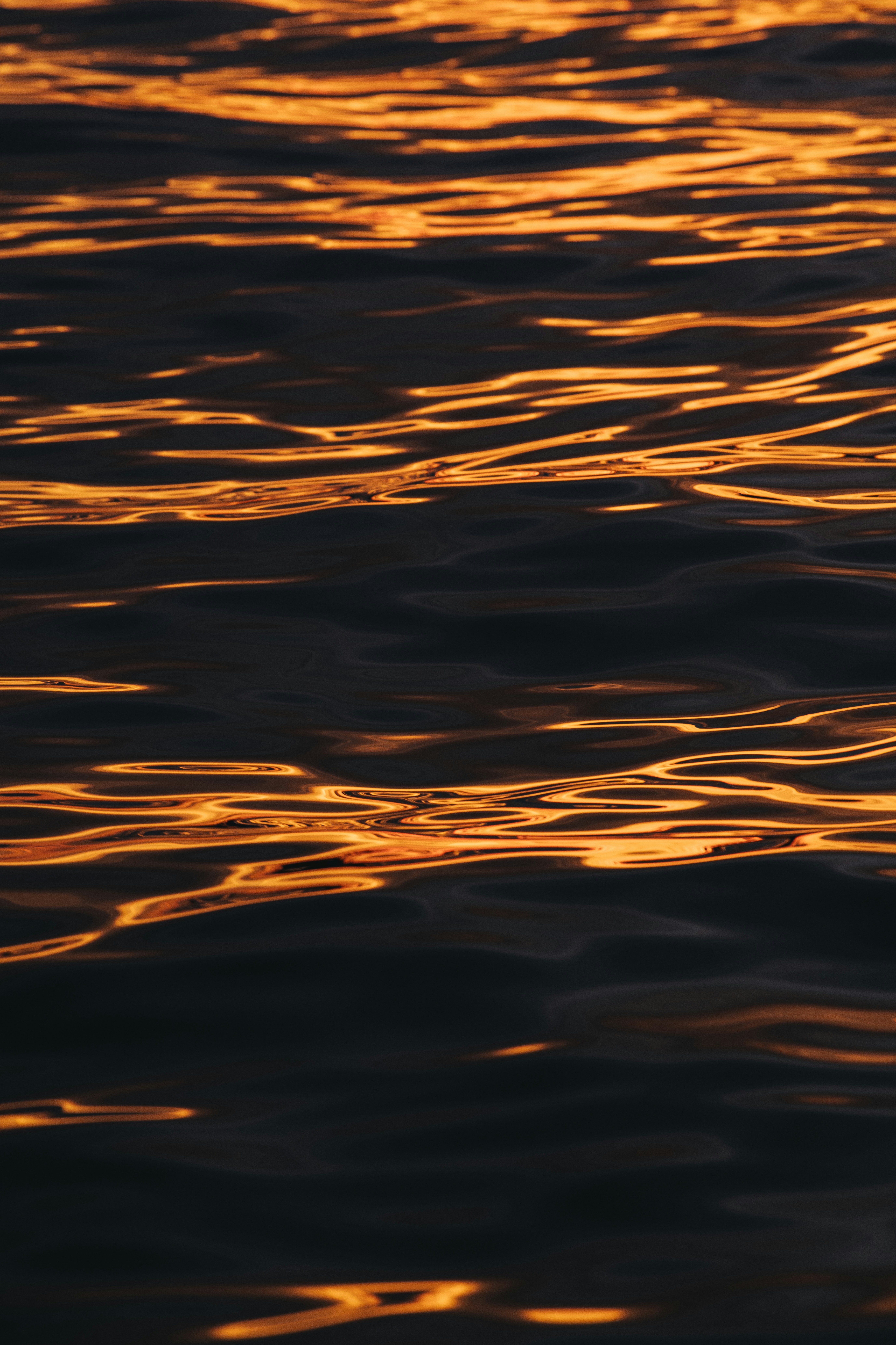 Chasing the Sun | 3 best free dawn, dusk, flare and light photos on ...