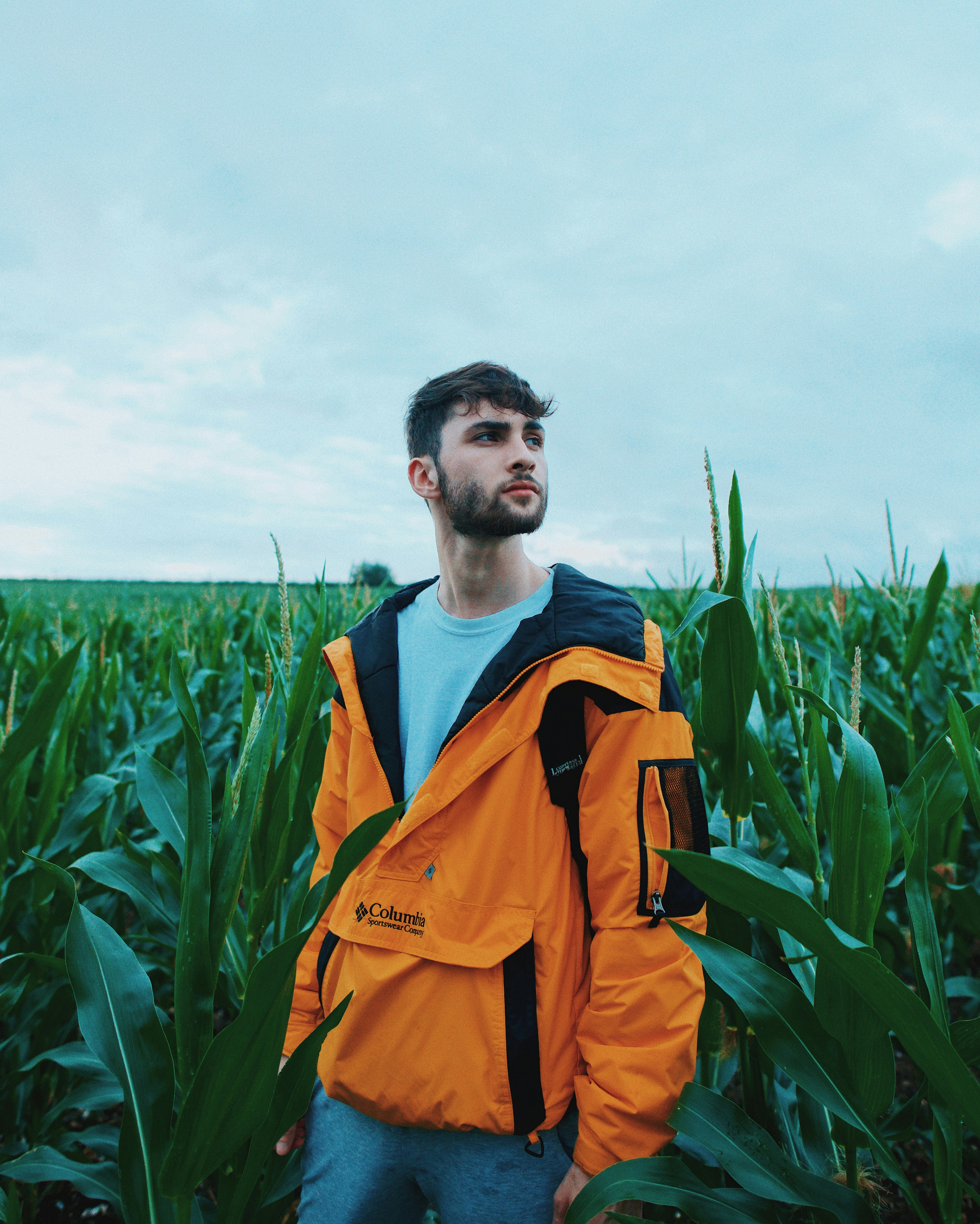 Orange Jacket in a Green Corridor: Portrait Amid Tall Corn