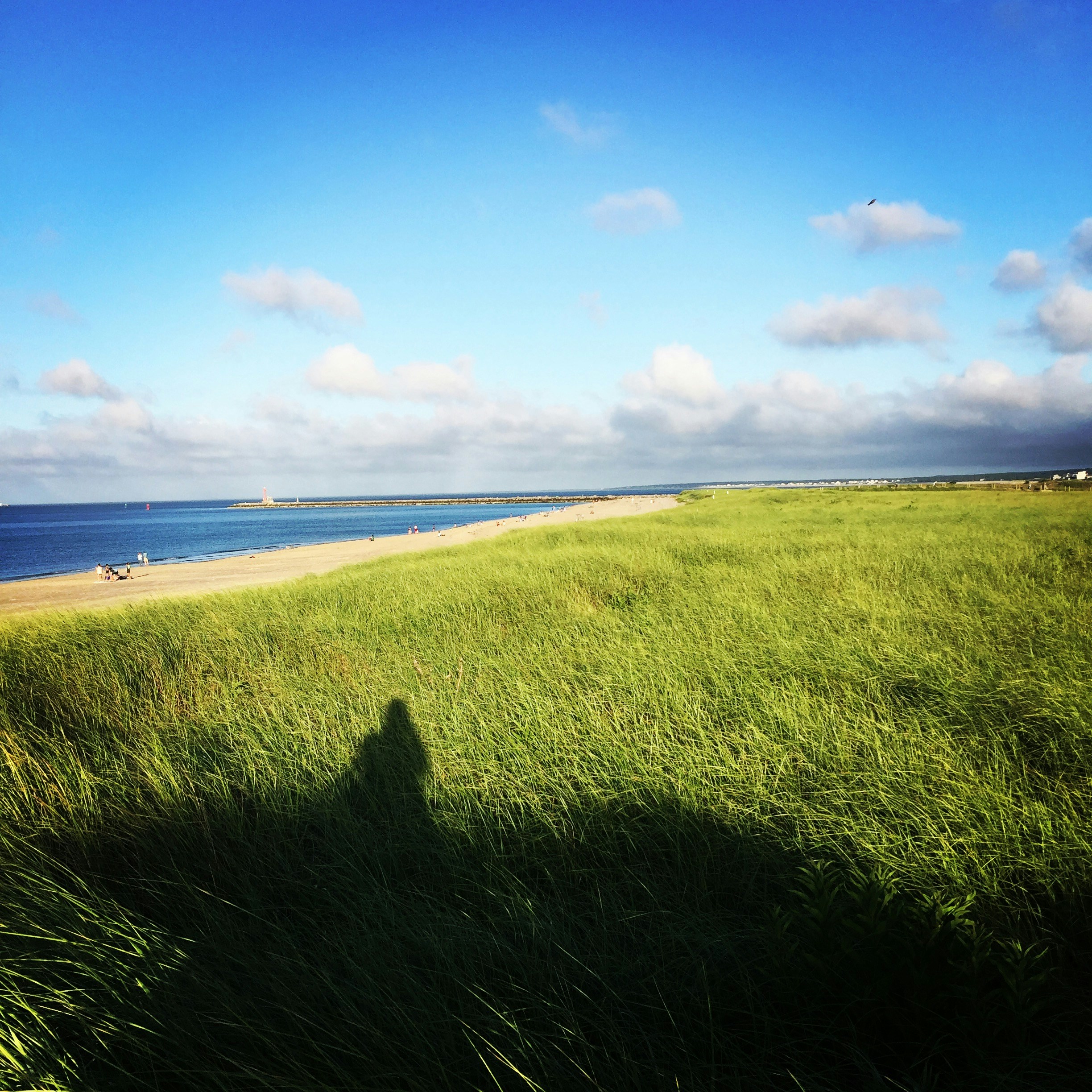 Whispers of the Shoreline