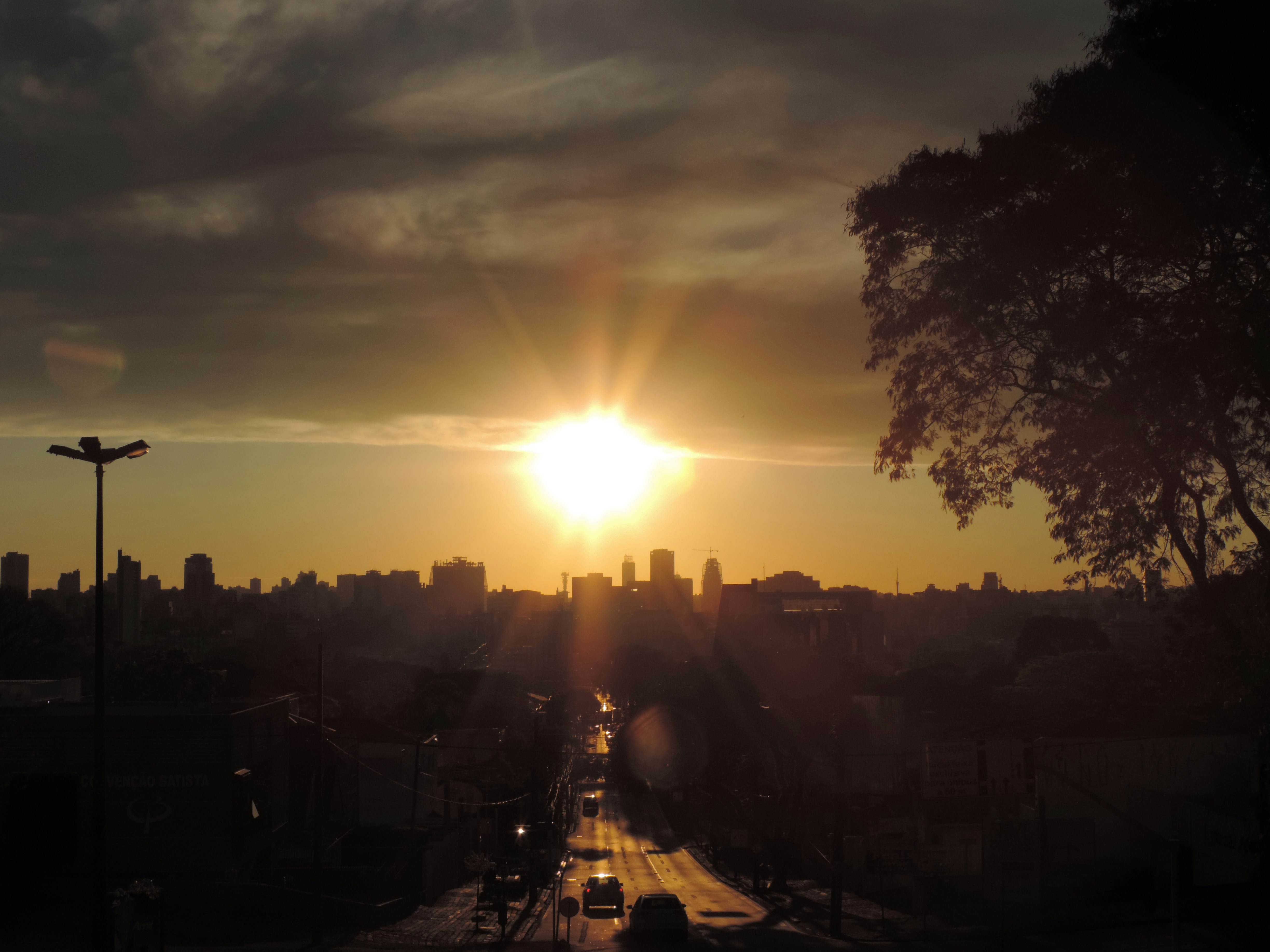 Sunset casting warm light over a cityscape with silhouettes of buildings and a tree in the foreground.