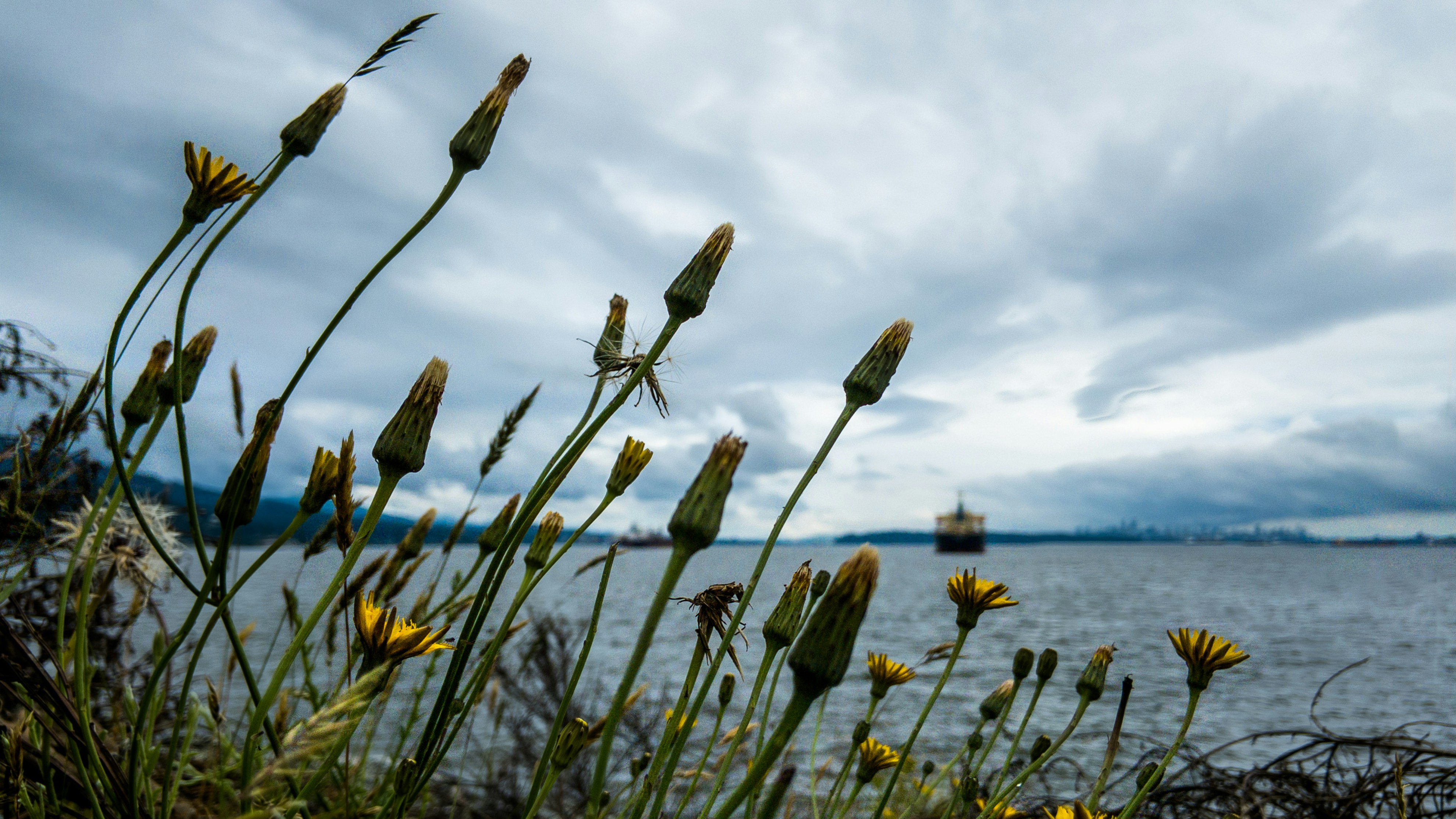 Srijon Saha (@srijonsaha) | Communauté photos Unsplash