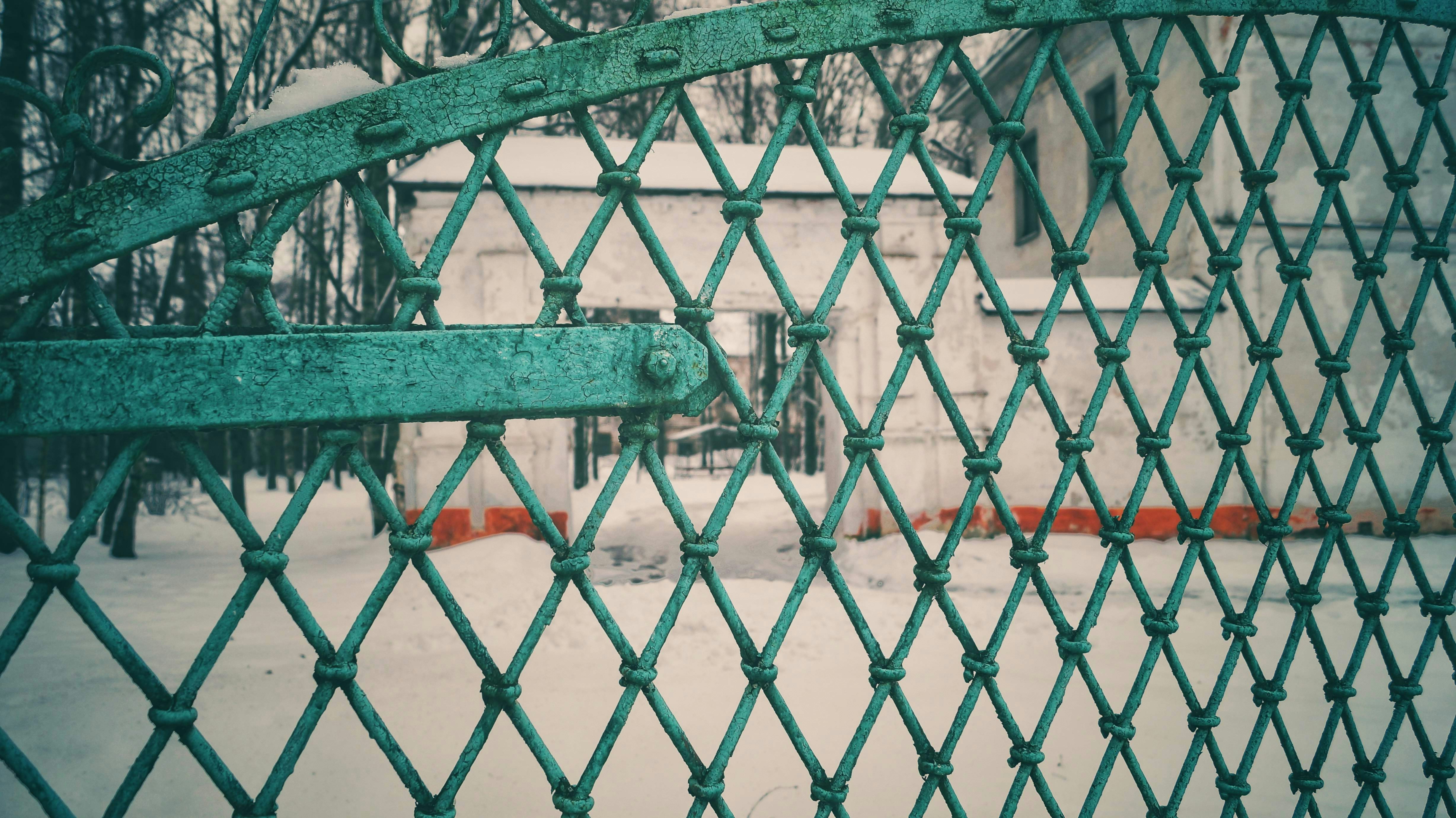 Teal Chain-Link Framed by Snow, with Hidden Cones