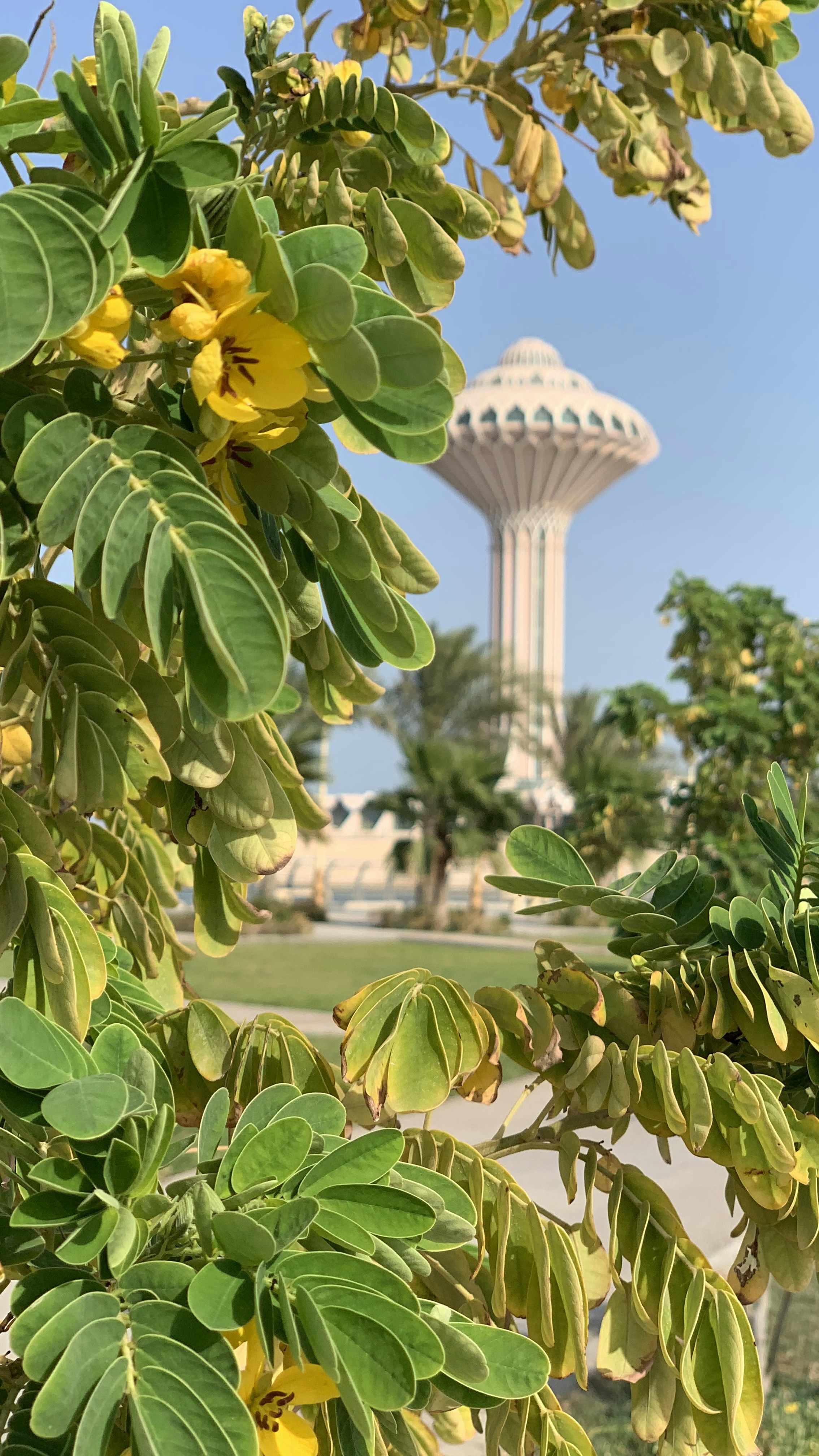 Buraydah, Saudi Arabia - all you need to know