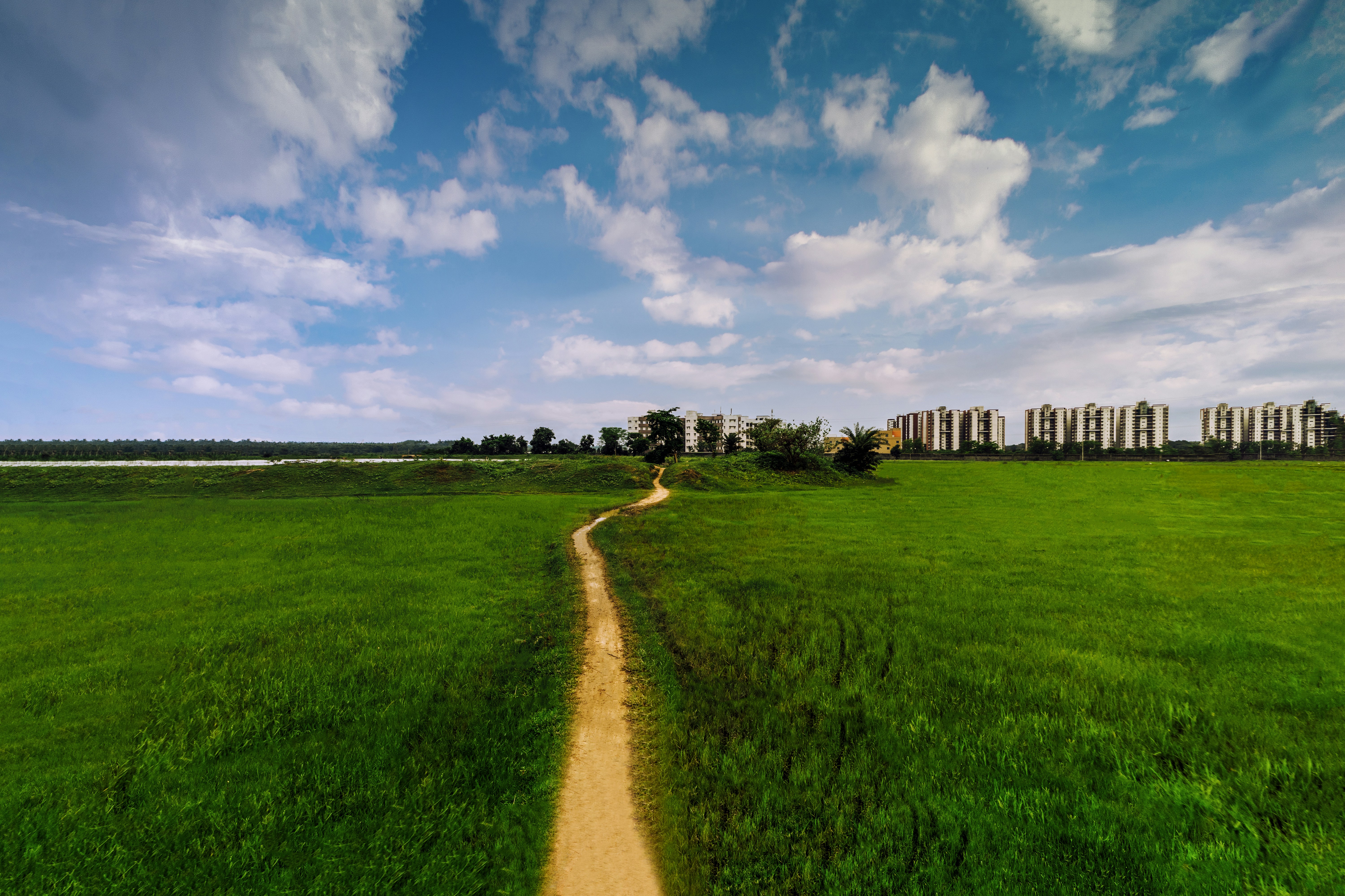 Verdant Horizon: A Winding Trail Toward a Quiet Skyline