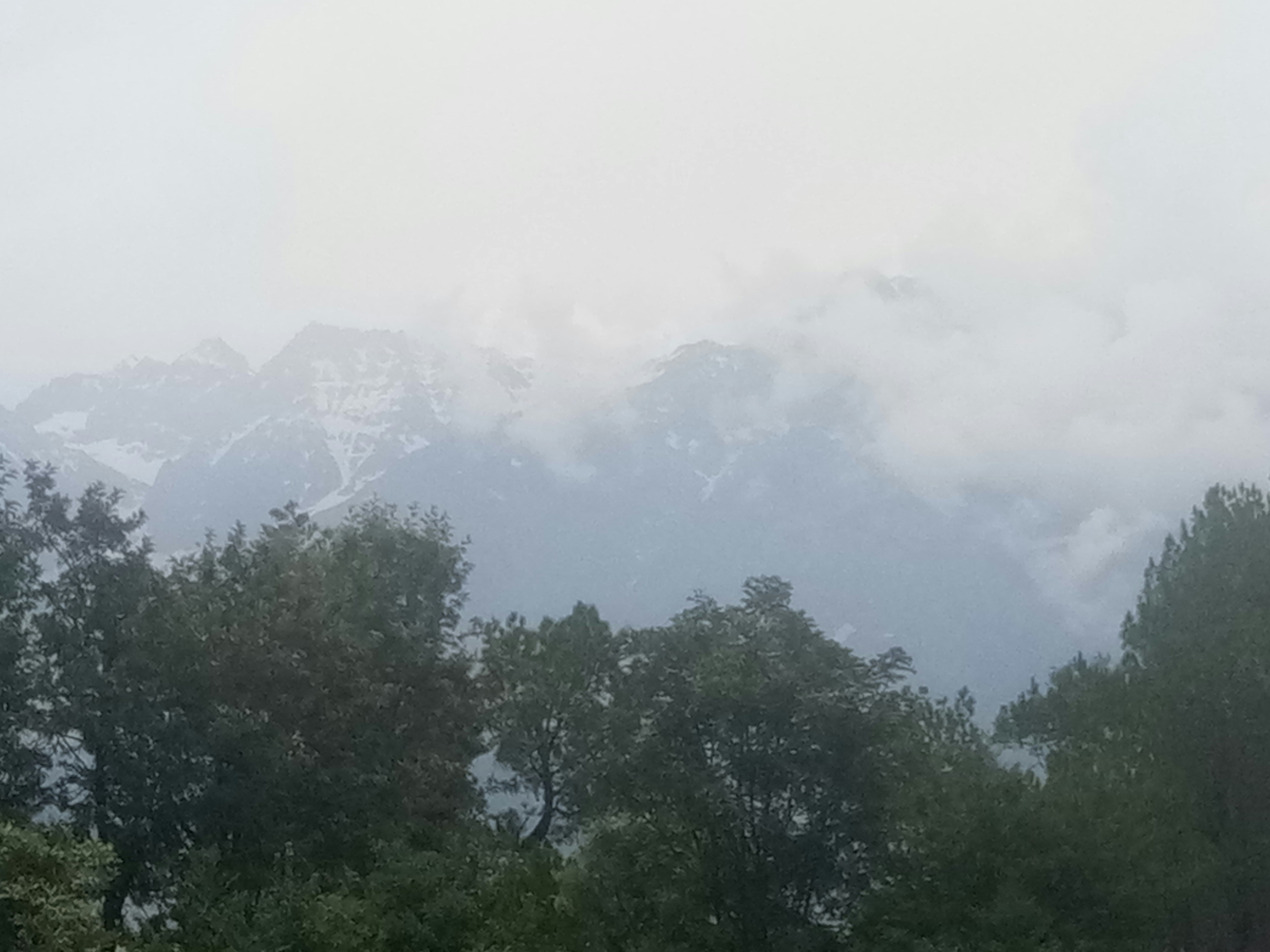 Snow-dusted mountains drift behind a dense line of trees as pale clouds drift low across the sky.